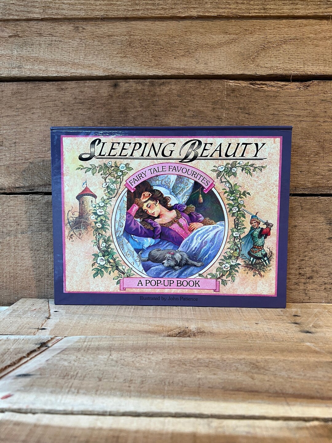 Sleeping Beauty, Illustrated by John Patience- A Pop-up Book - Etsy