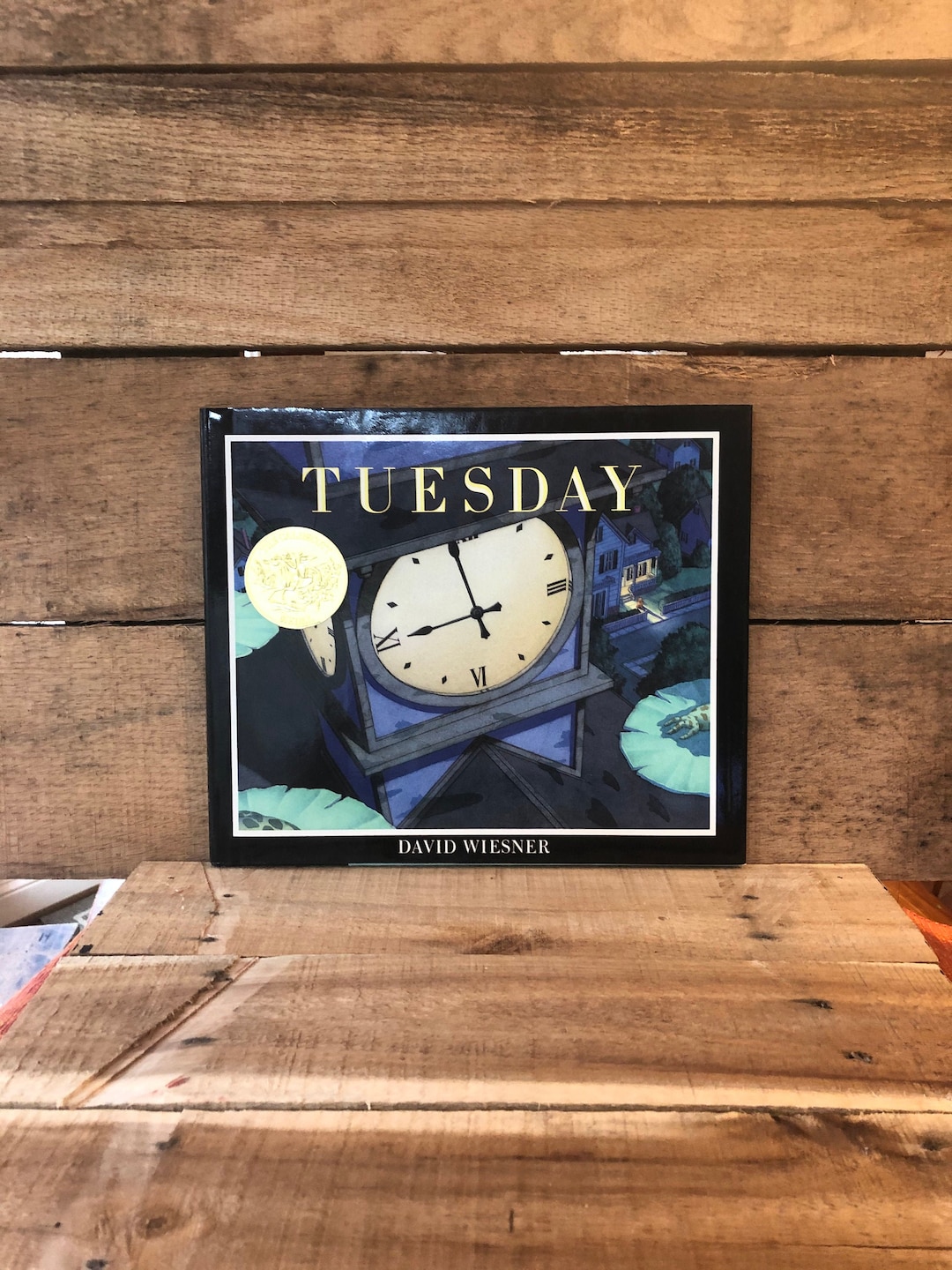 Tuesday by David Wiesner: With Dust Jacket 1991 - Etsy