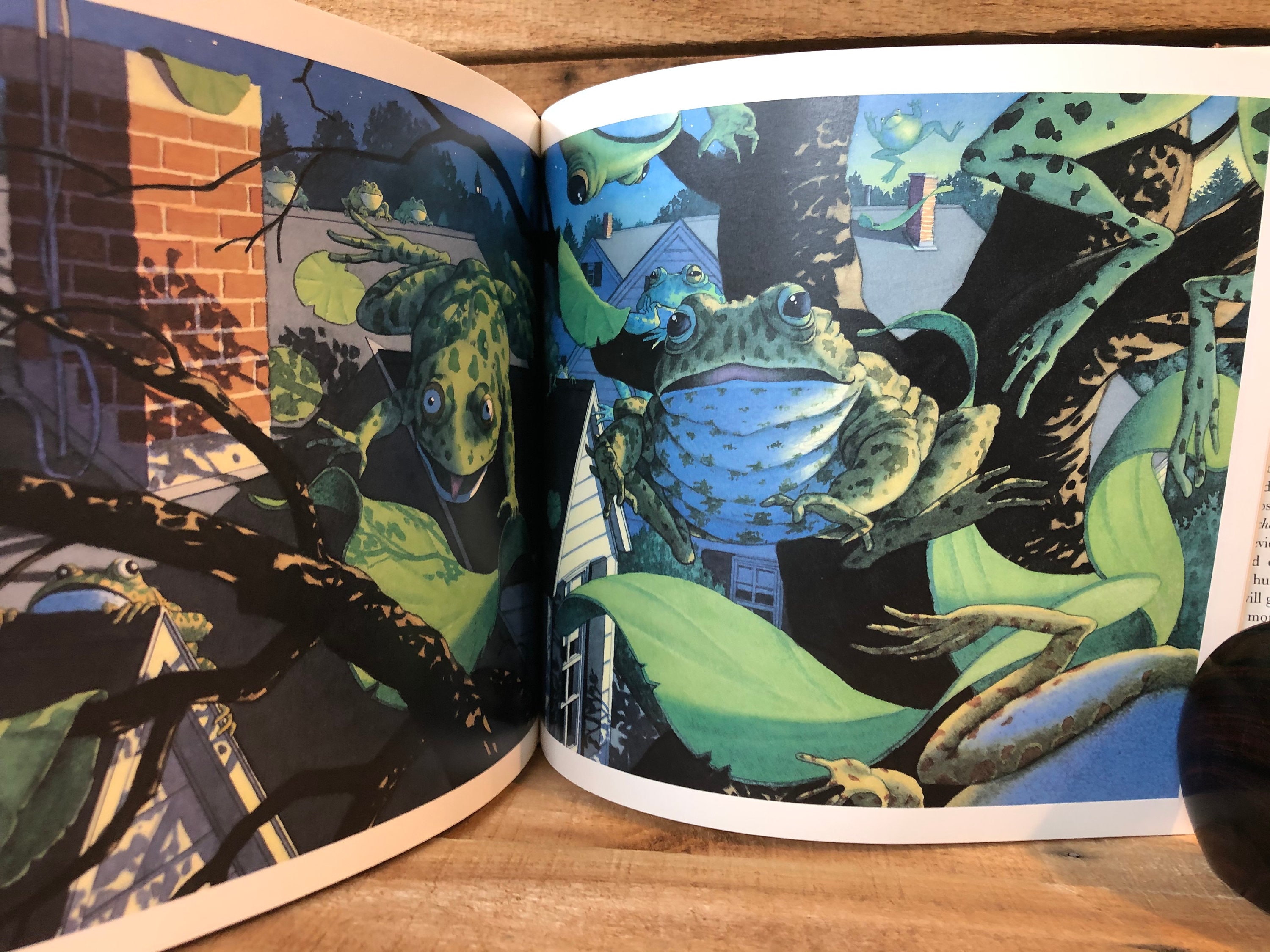 Tuesday by David Wiesner: With Dust Jacket 1991 - Etsy