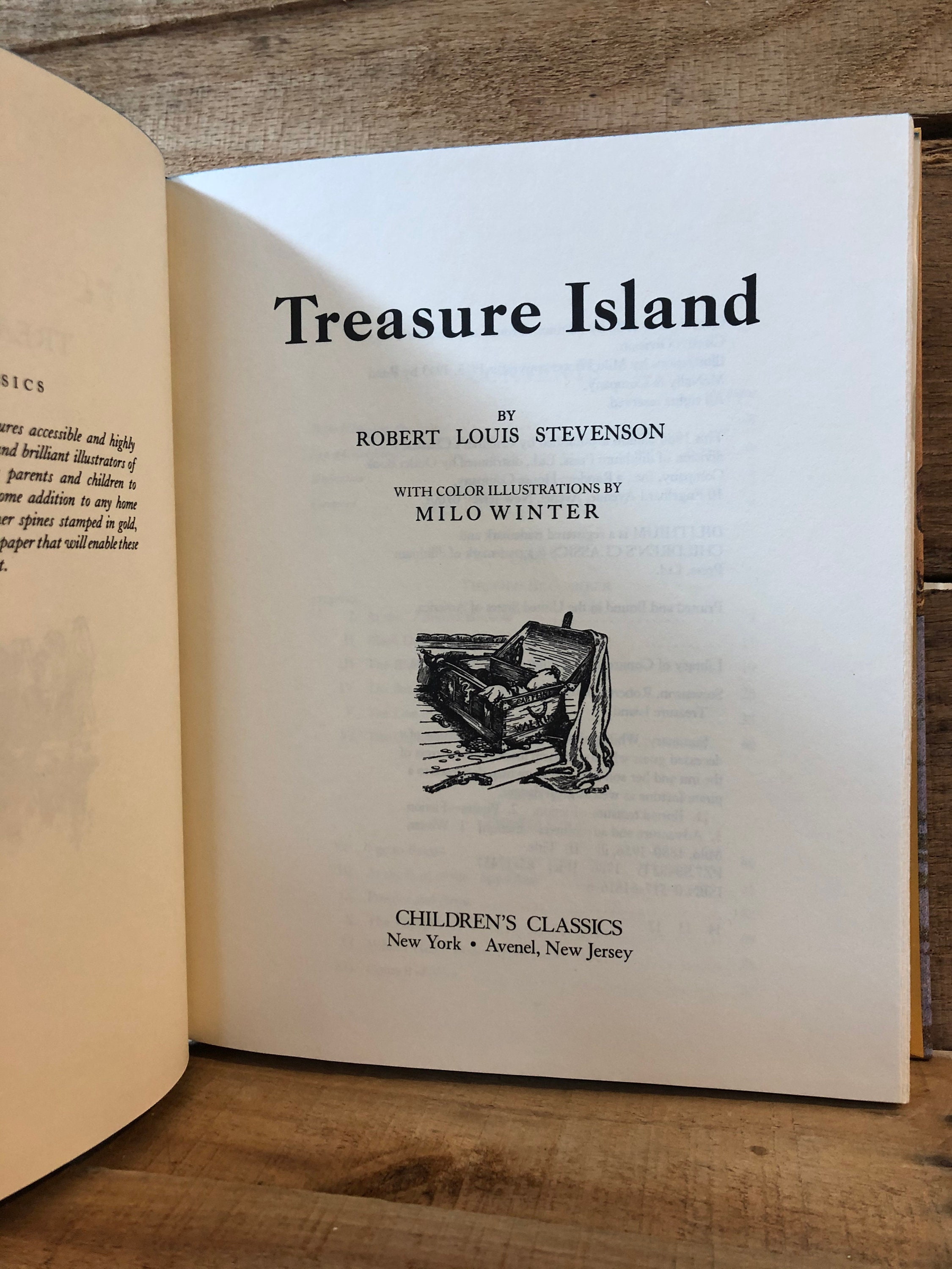Treasure Island by Robert Louis Stevenson Illustrated by Milo - Etsy