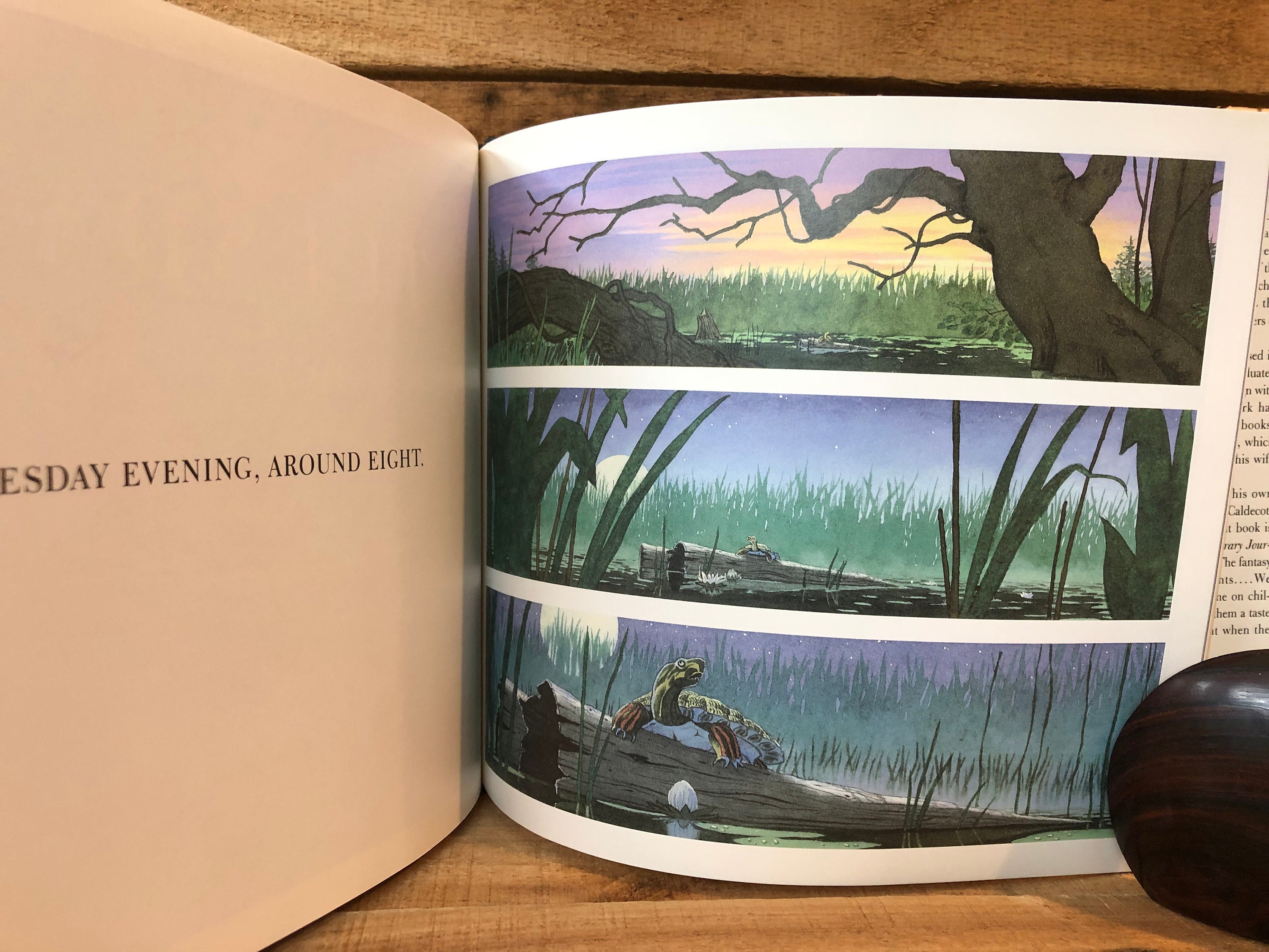 Tuesday by David Wiesner: With Dust Jacket 1991 - Etsy