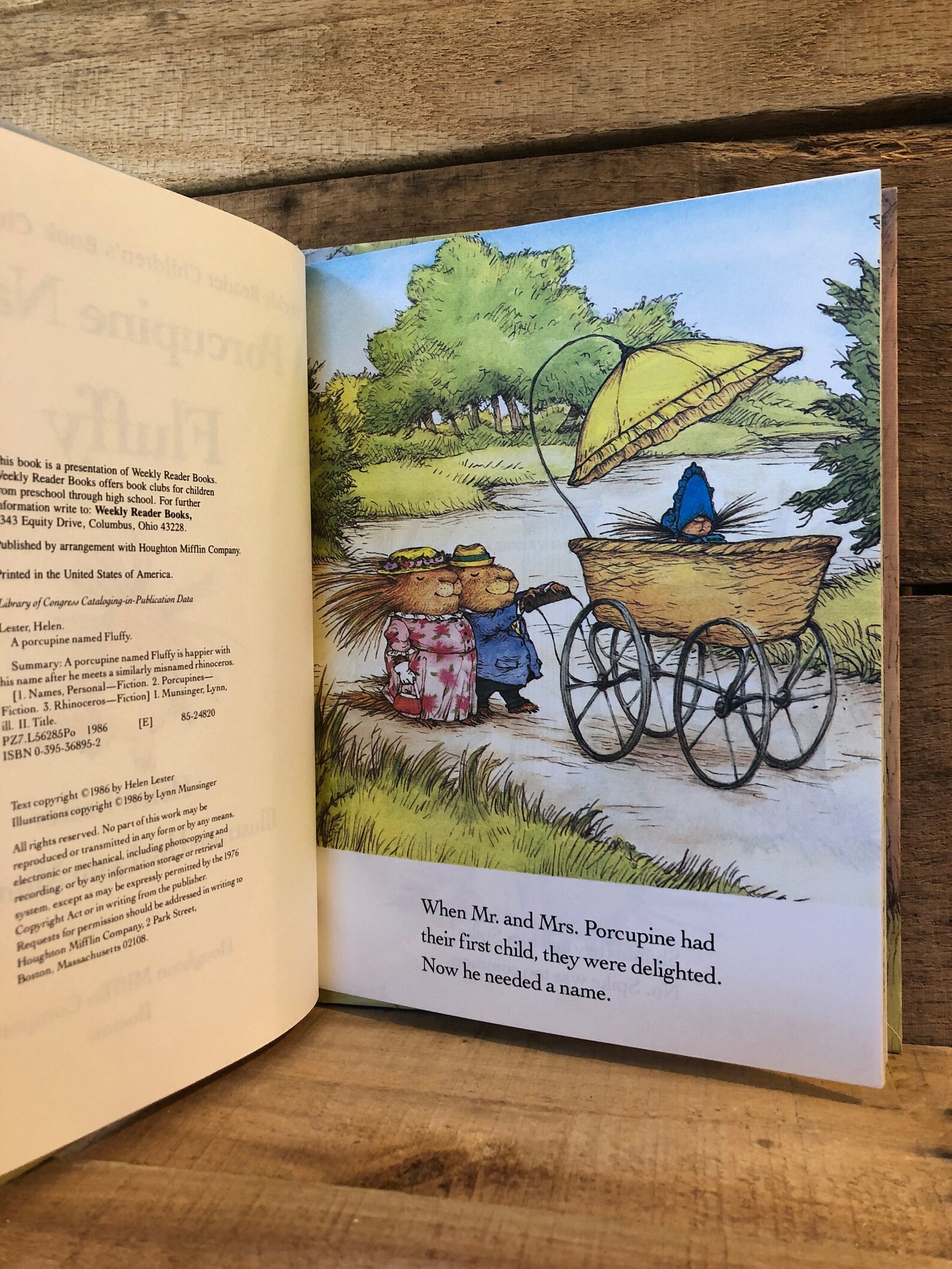 A Porcupine Named Fluffy by Helen Lester: Weekly Reader 1986 - Etsy