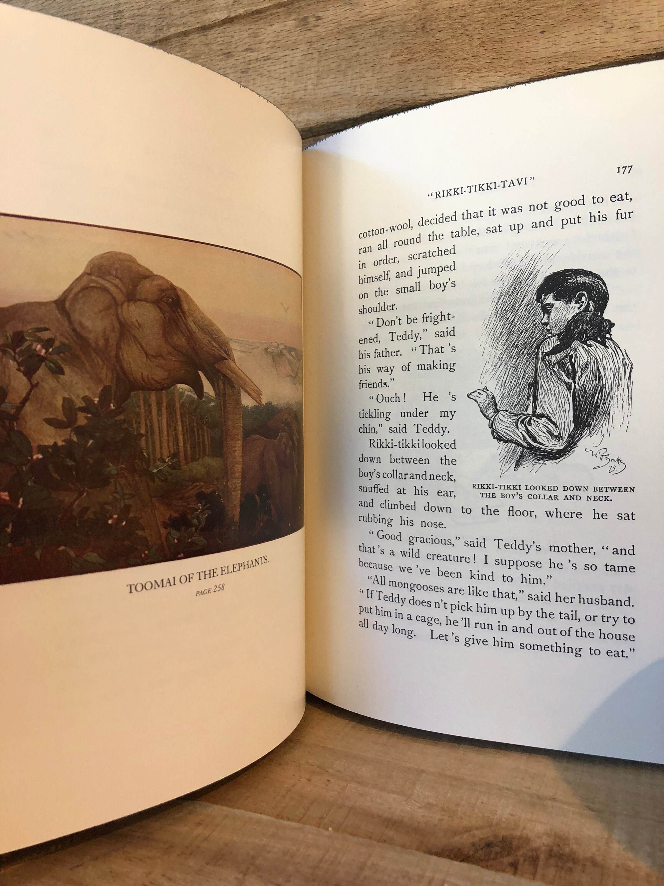 The Jungle Book by Rudyard Kipling Illustrated by Maurice and - Etsy