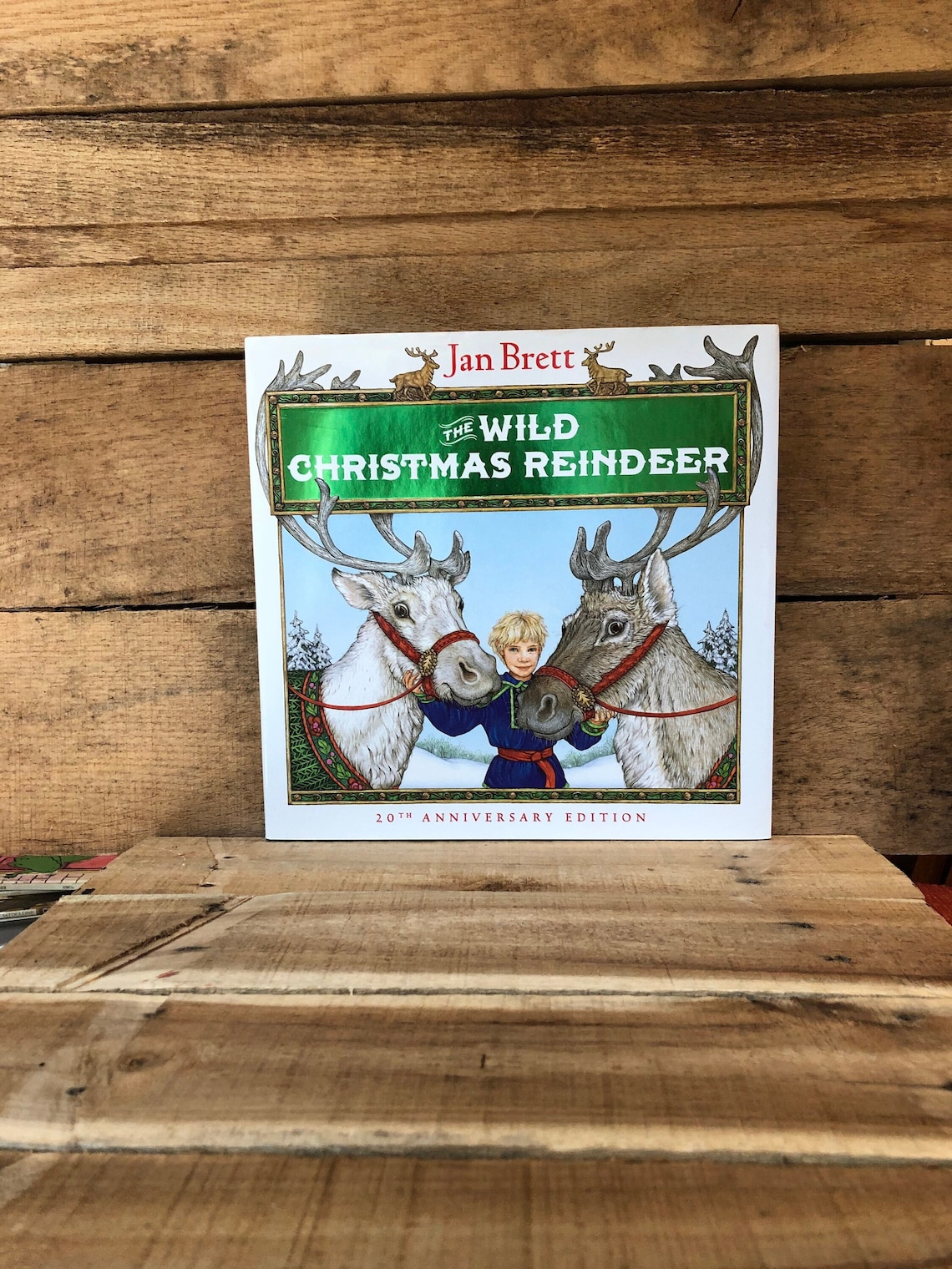 Jan Brett The Wild Christmas Reindeer: with Dust Jacket 2010 | Etsy