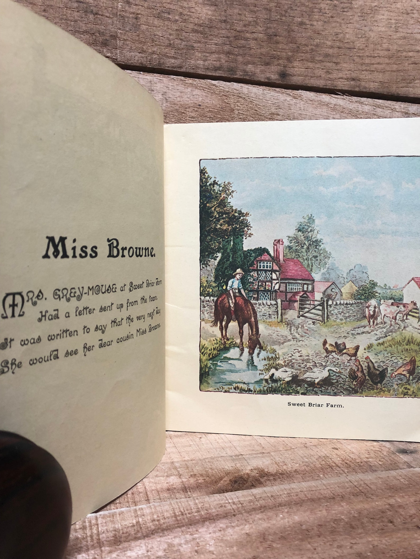 Miss Brownie the Story of a Superior Mouse: Replica of the Antique ...