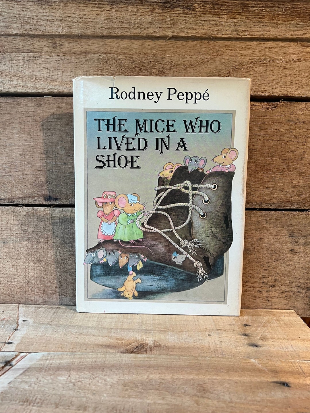 The Mice Who Lived in a Shoe by Rodney Peppe: With Dust Jacket 1981 ...