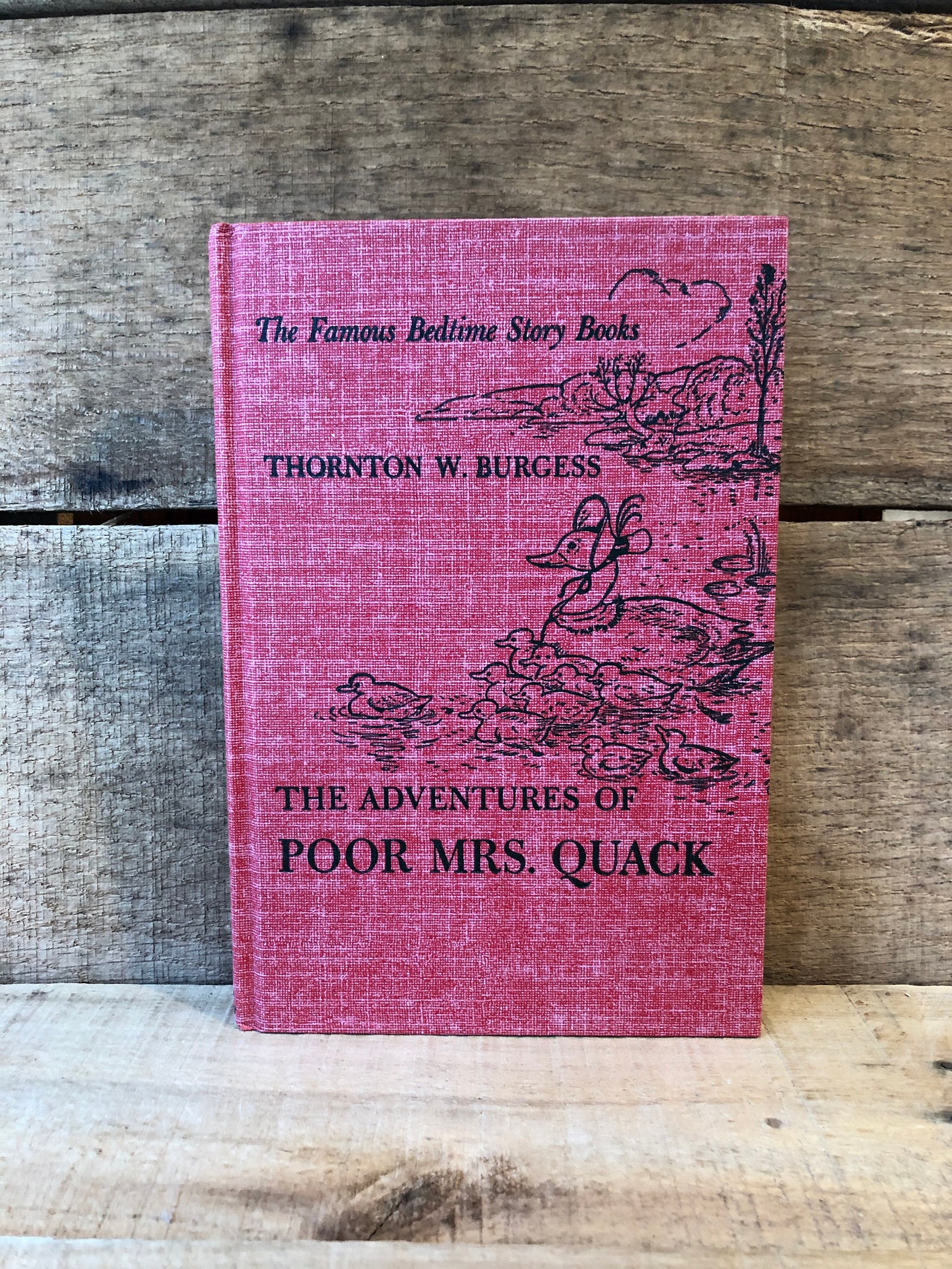 The Adventures of Poor Mrs. Quack Bedtime Story Books: with | Etsy