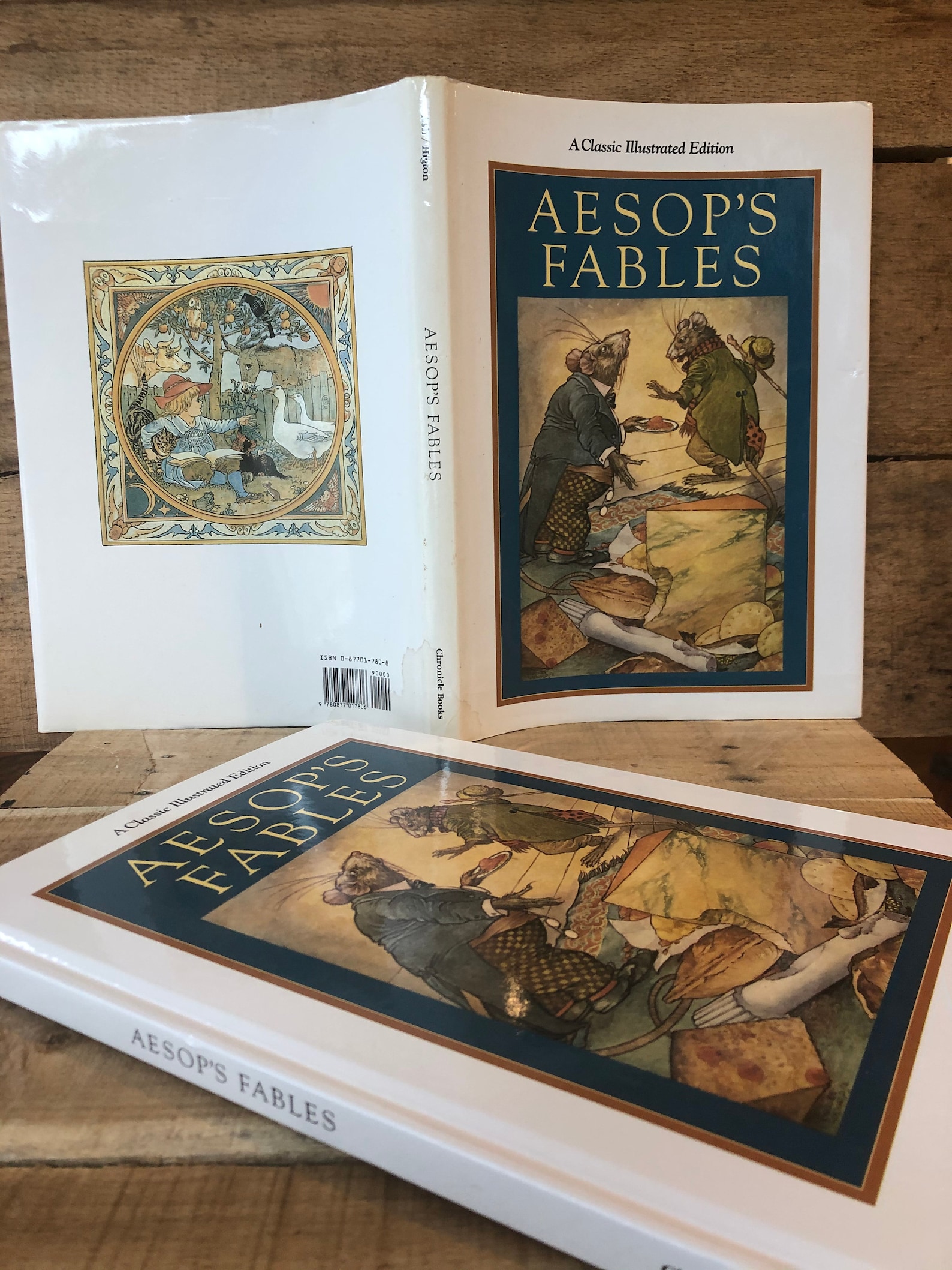 Aesop's Fables A Classic Illustrated Edition: With Dust - Etsy
