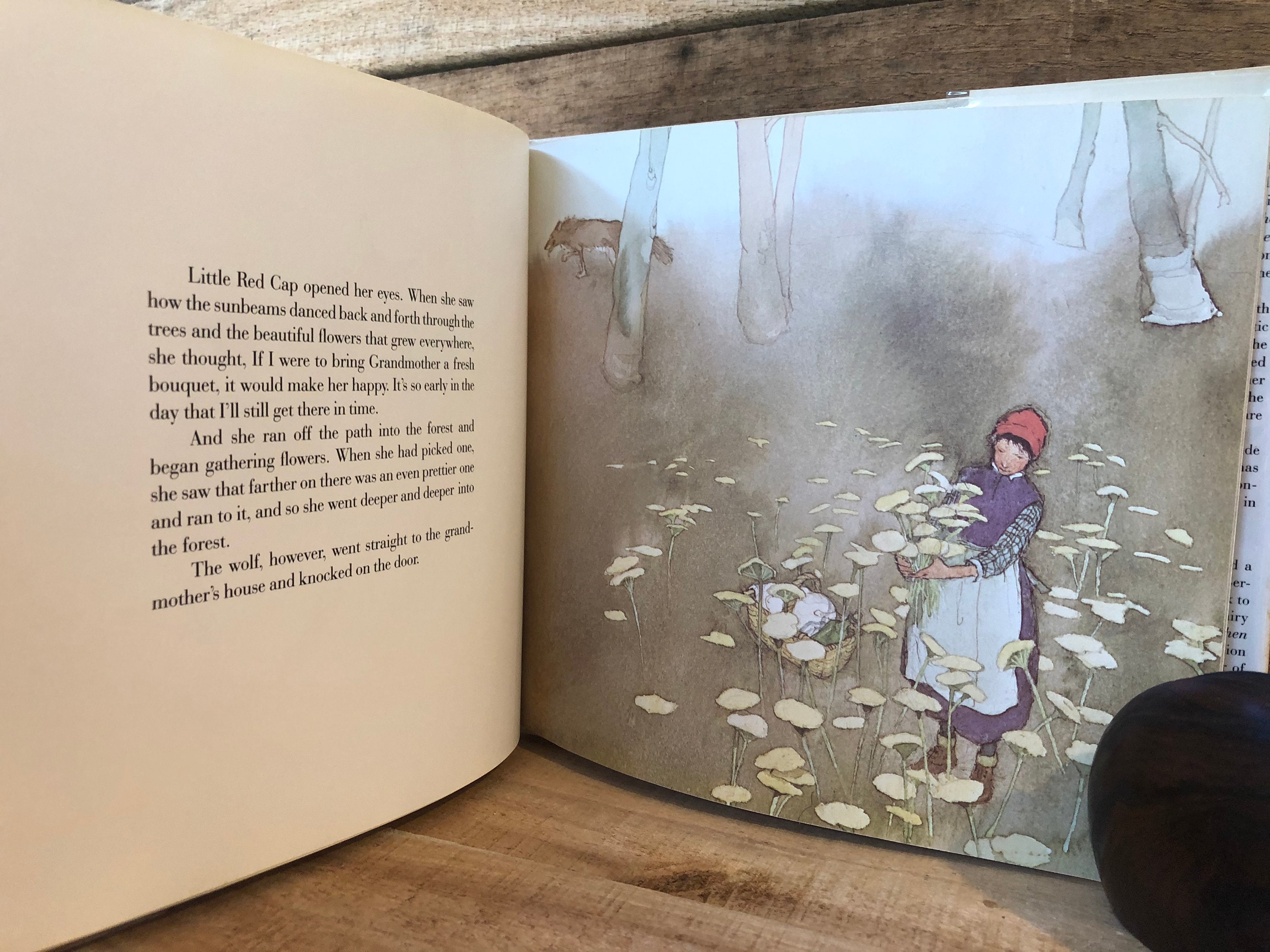 Little Red Cap Illustrated by Lisbeth Zwerger: With Dust - Etsy