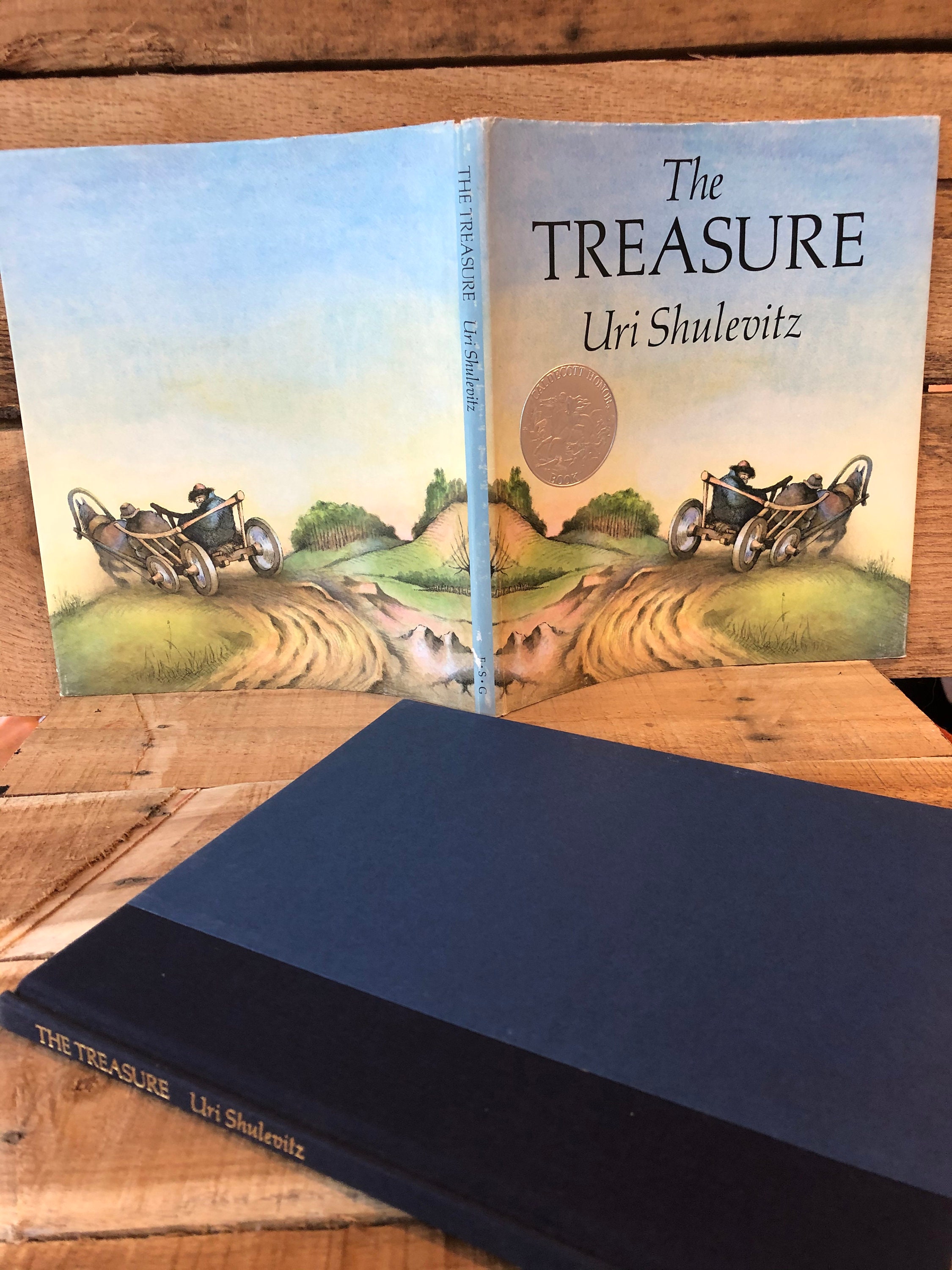 The Treasure by Uri Shulevitz: With Dust Jacket Fifth Printing 1992 - Etsy