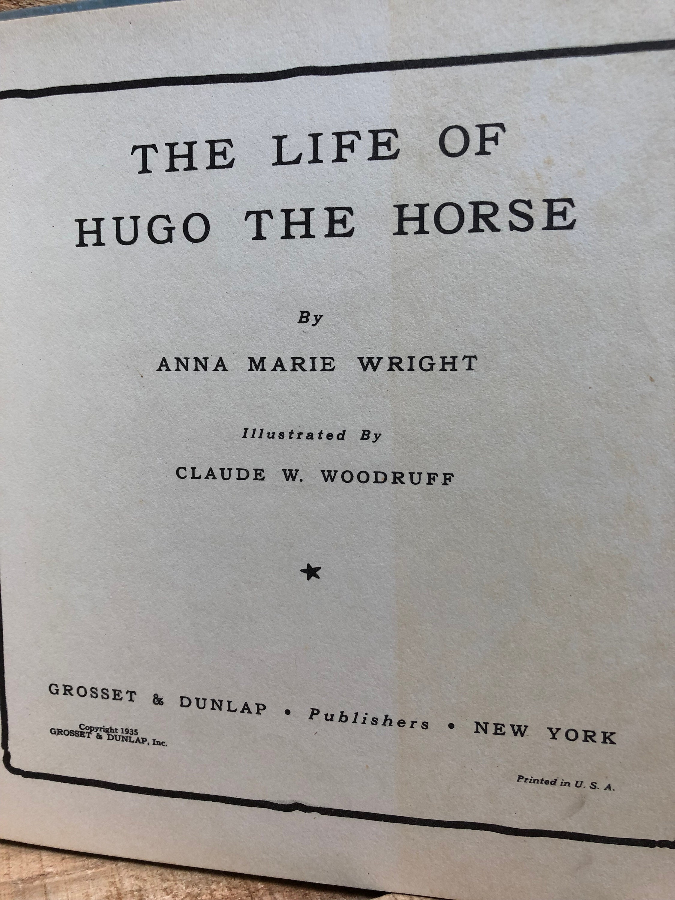 The Life of Hugo the Horse by Anna Marie Wright: With Dust - Etsy