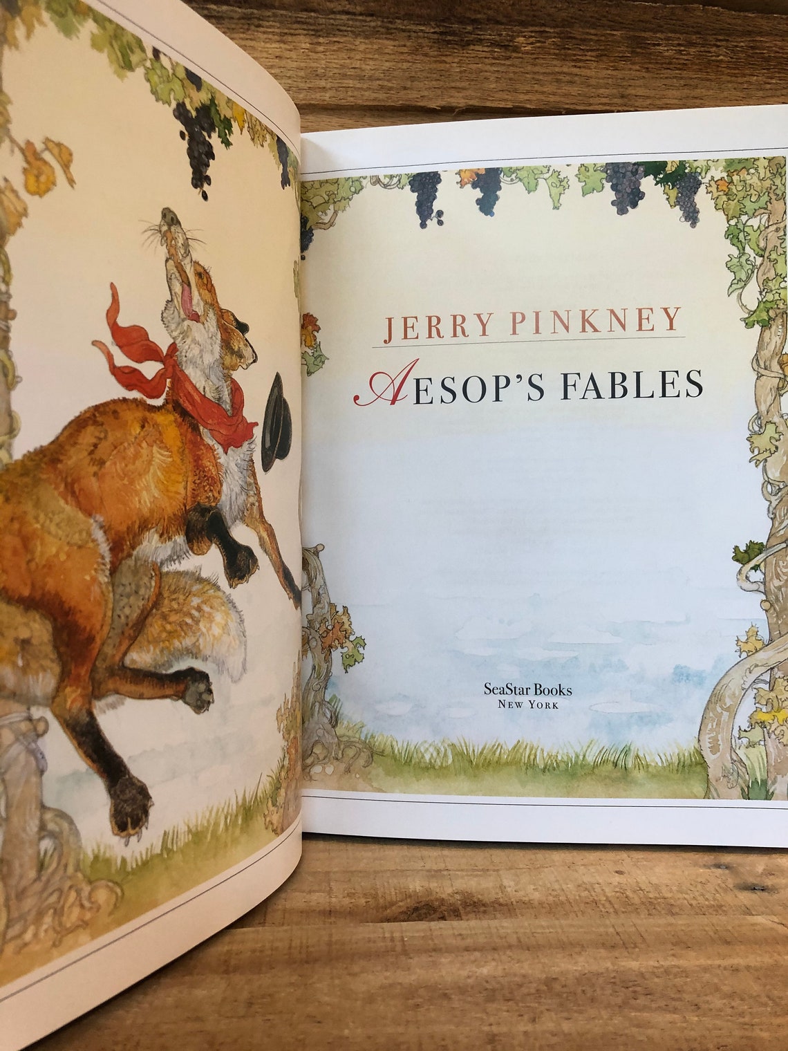 Aesop's Fables Illustrated by Jerry Pinkney: With Dust | Etsy