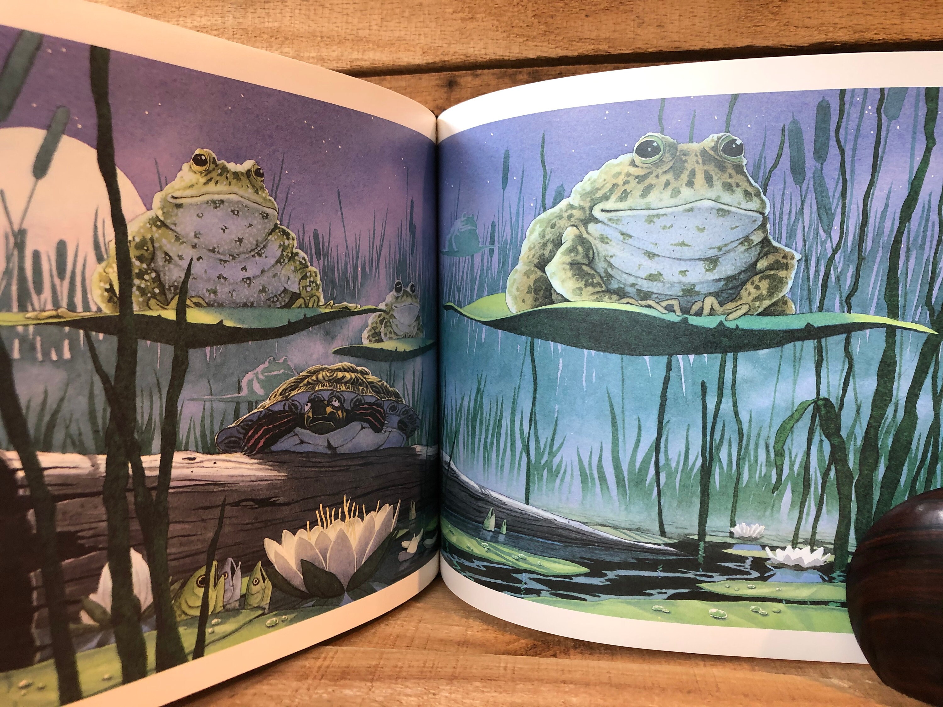 Tuesday by David Wiesner: With Dust Jacket 1991 - Etsy