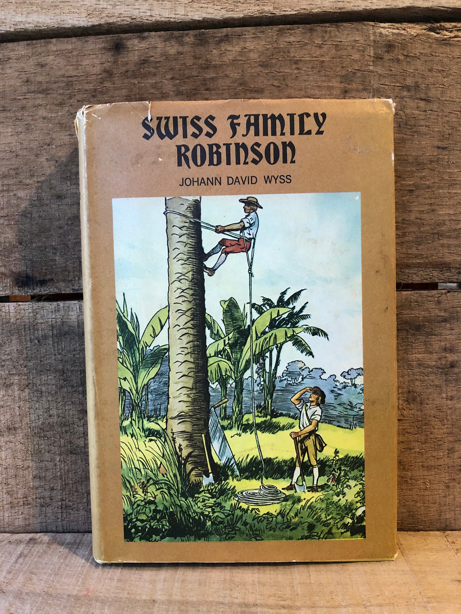 Swiss Family Robinson by Johann David Wyss: Junior Deluxe | Etsy