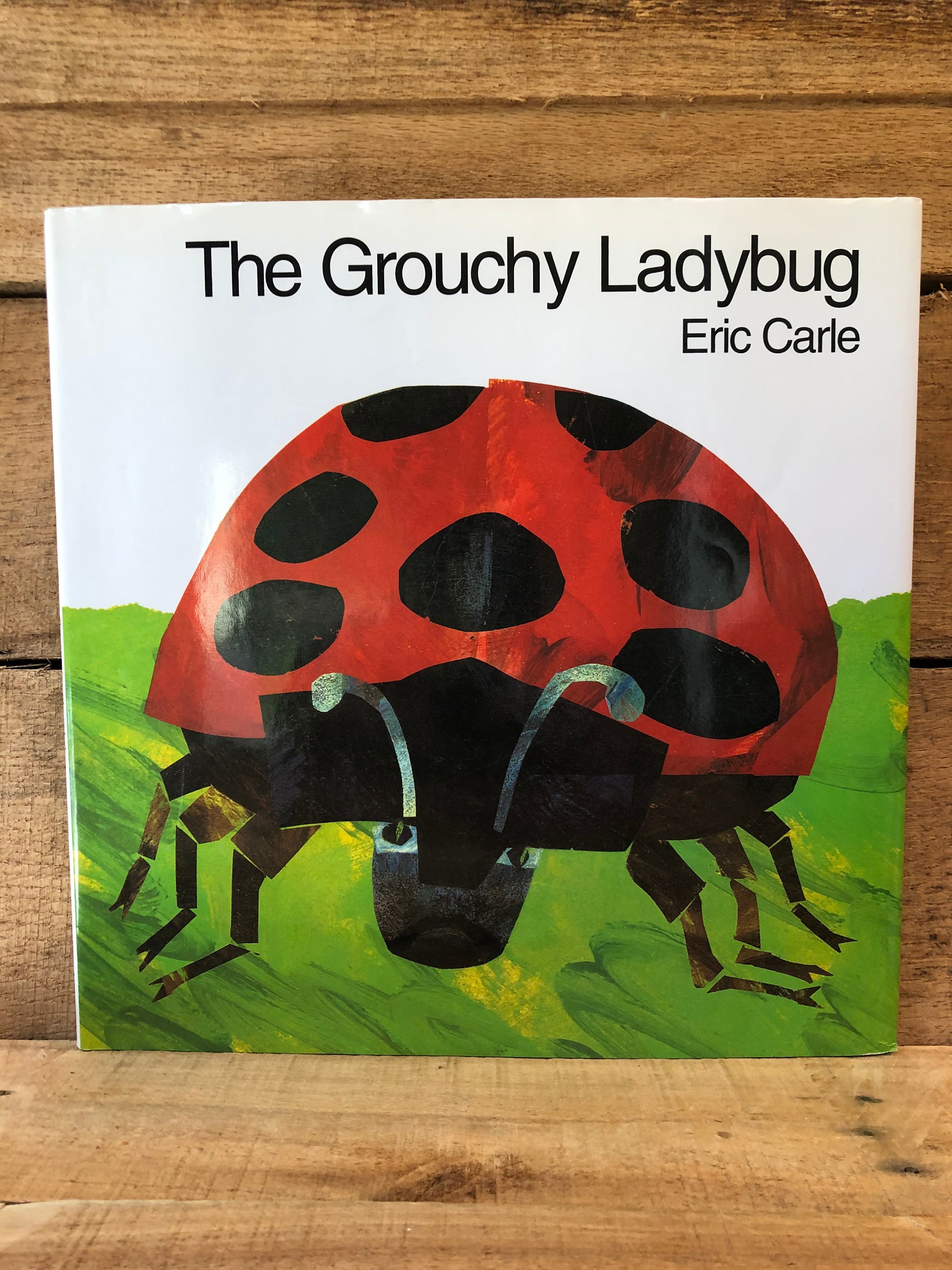 The Grouchy Ladybug