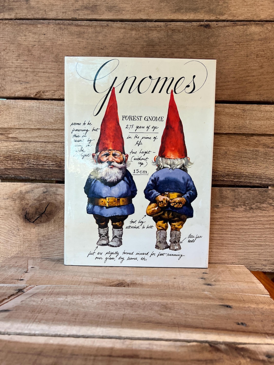 Gnomes: With Dust Jacket 1977 - Etsy