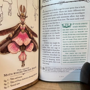 Care and Feeding of Sprites the Spiderwick Chronicles by - Etsy