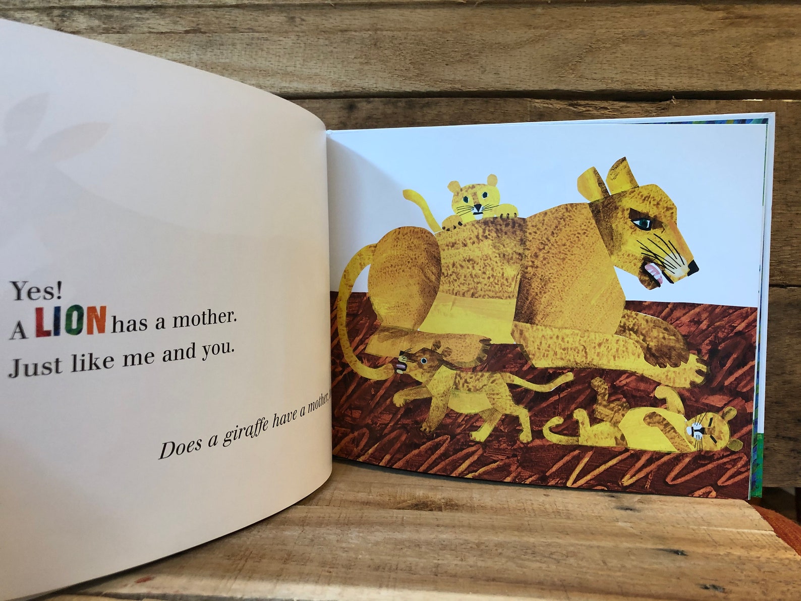 Does a Kangaroo Have a Mother Too by Eric Carle: - Etsy