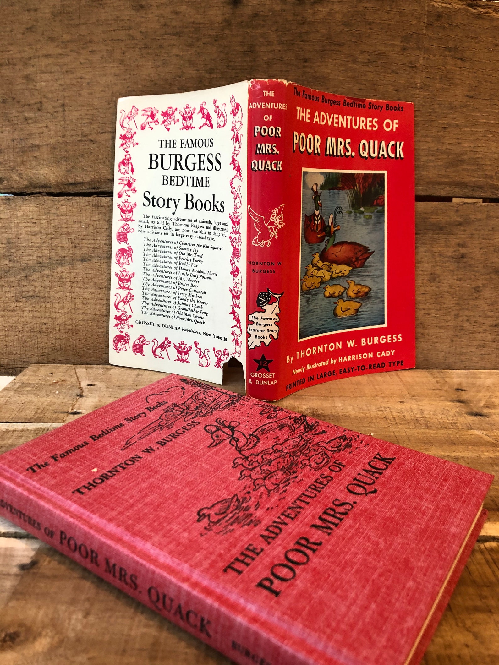 The Adventures of Poor Mrs. Quack Bedtime Story Books: with | Etsy