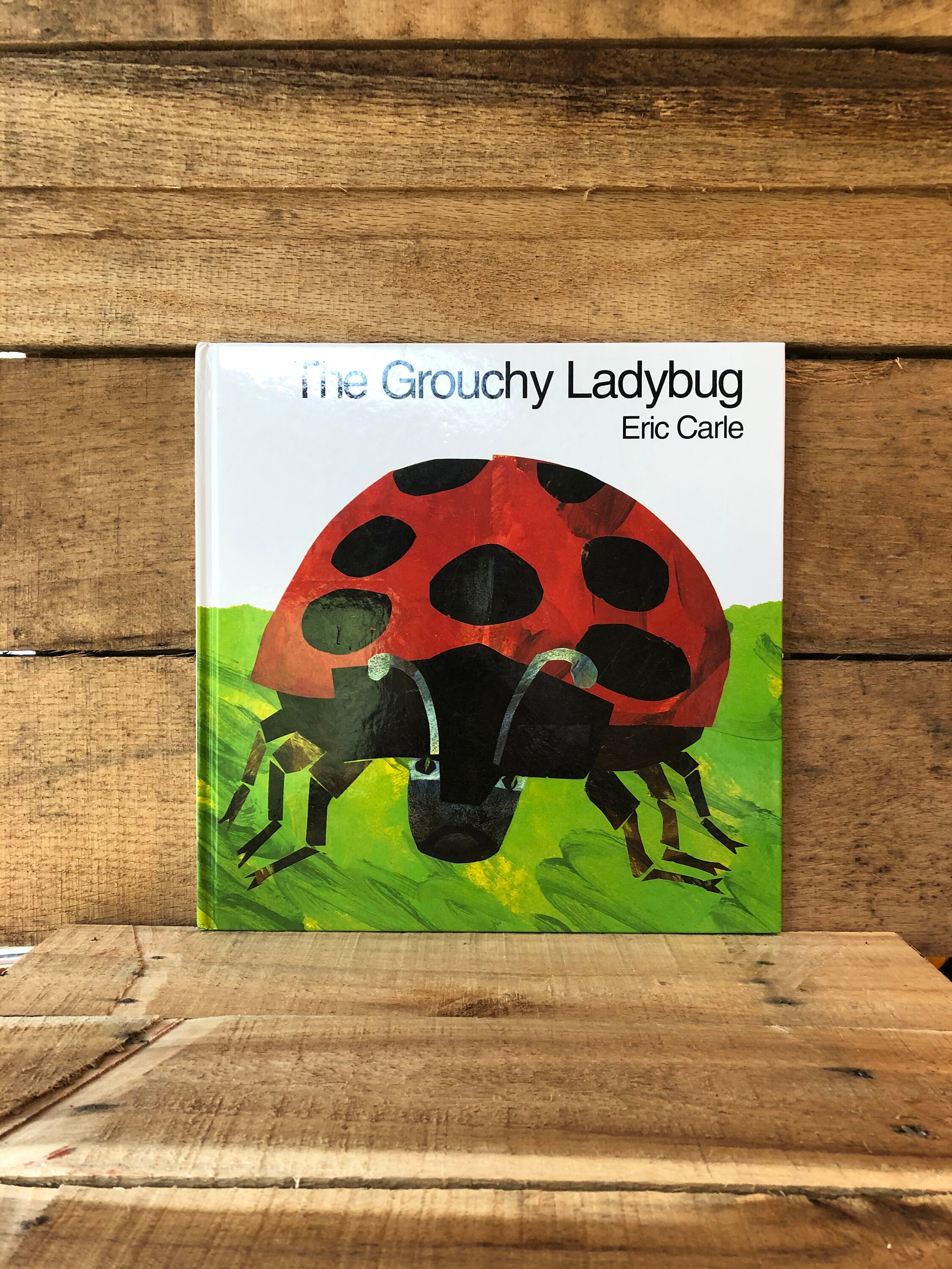 The Grouchy Ladybug