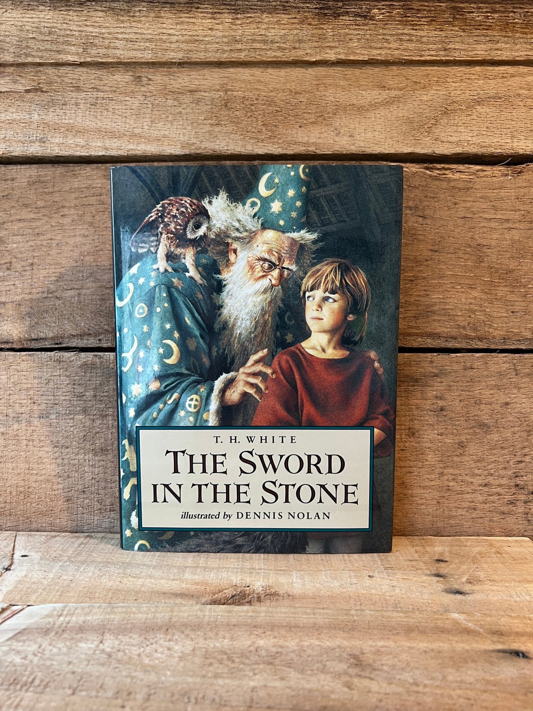 The Sword in the Stone by T. H. White, Illustrated by Dennis Nolan ...