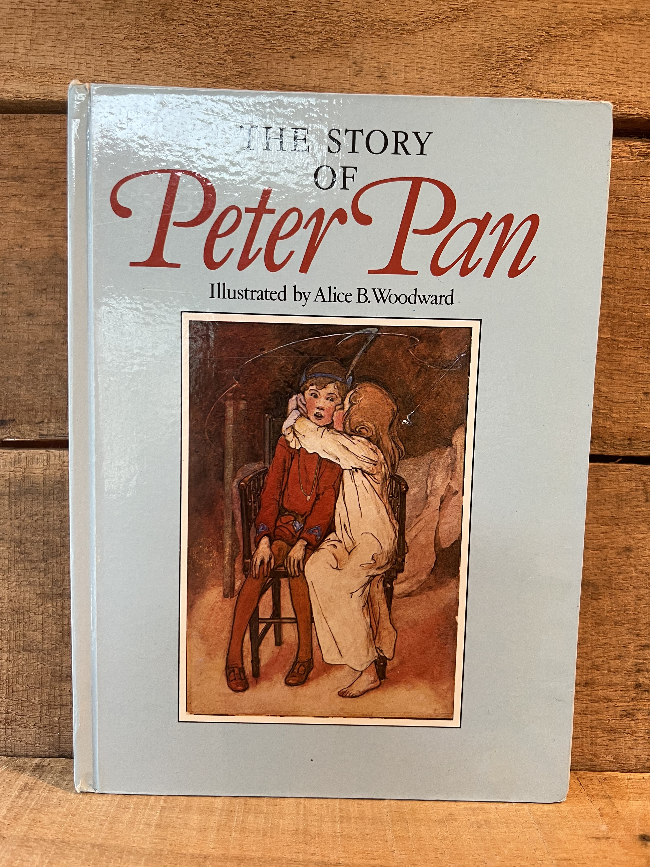 Peter Pan Novel