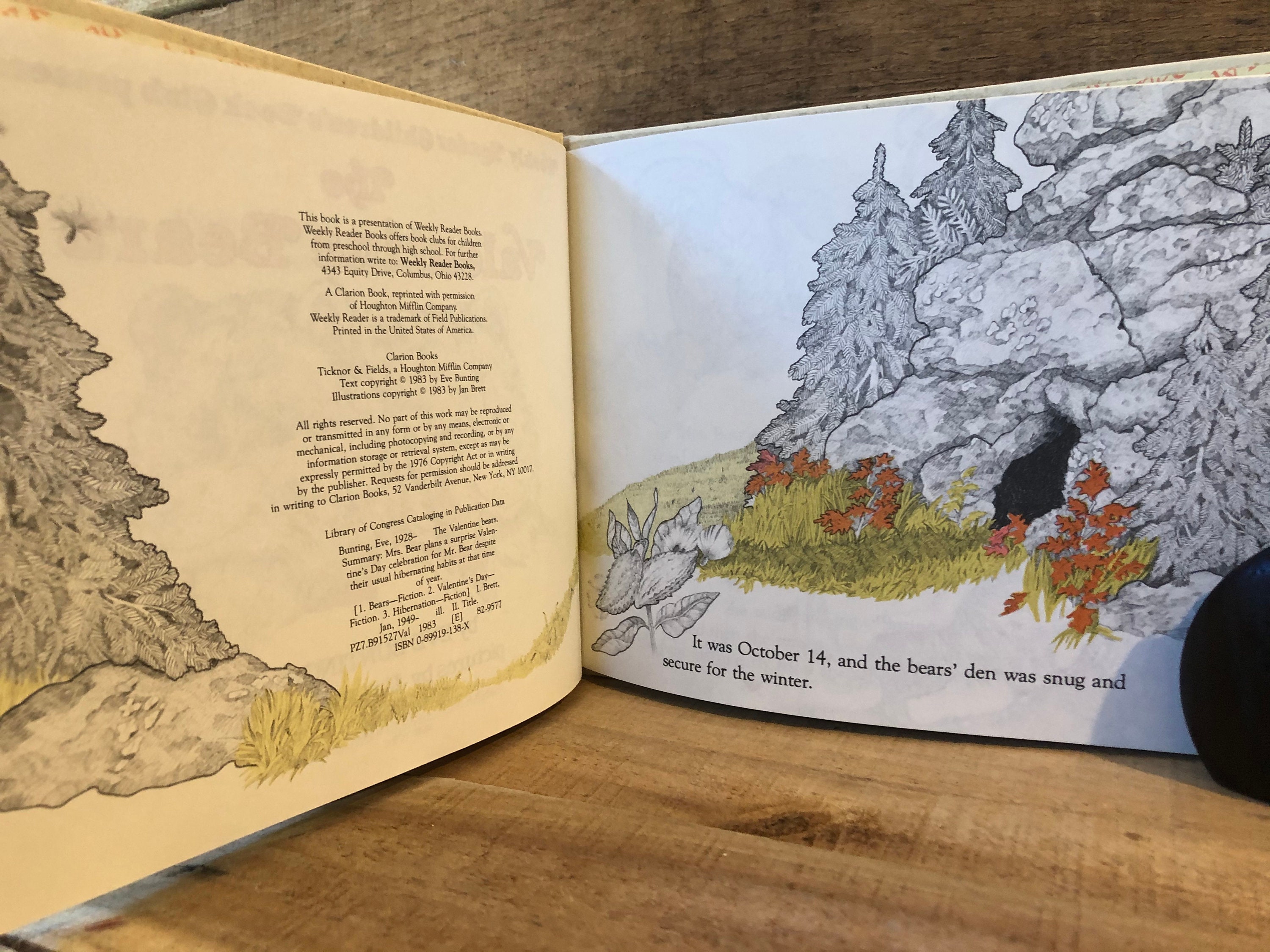 The Valentine Bears Illustrated by Jan Brett Weekly Reader 1983 - Etsy