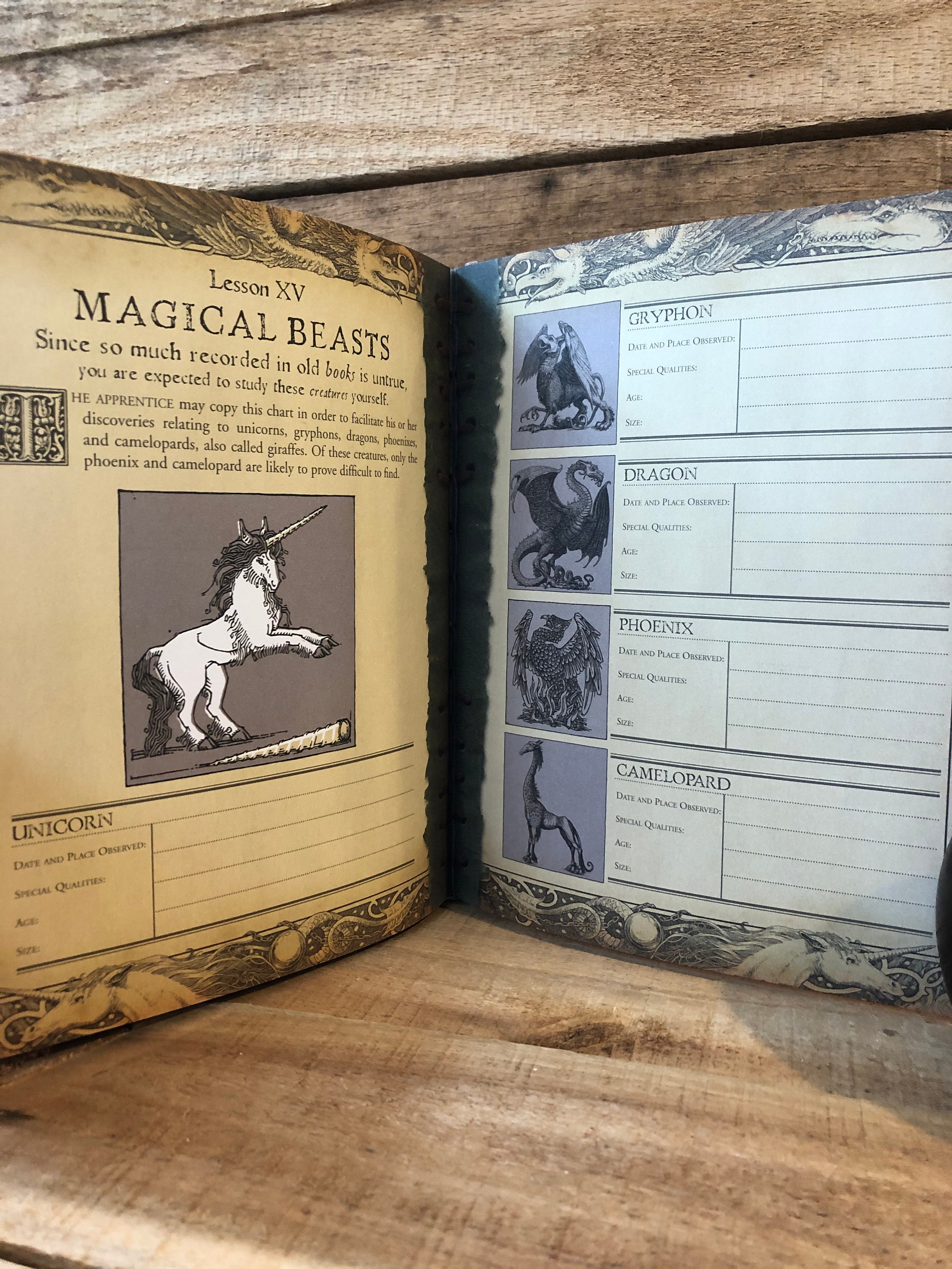 The Wizardology Handbook A Course for Apprentices: 2007 First - Etsy.de