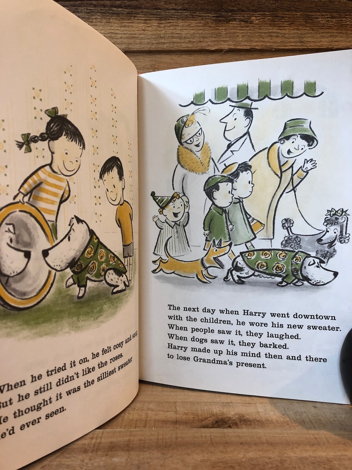 No Roses for Harry! by Gene Zion, Illustrated by Margaret Bloy Graham ...