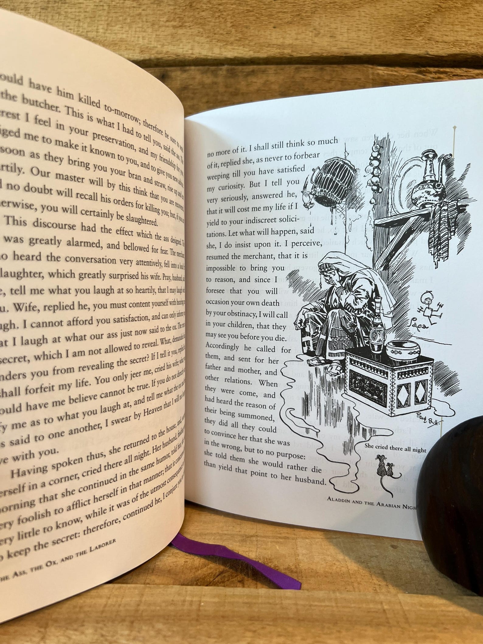 Aladdin and the Arabian Nights, Illustrated by Rene Bull: Barnes and ...