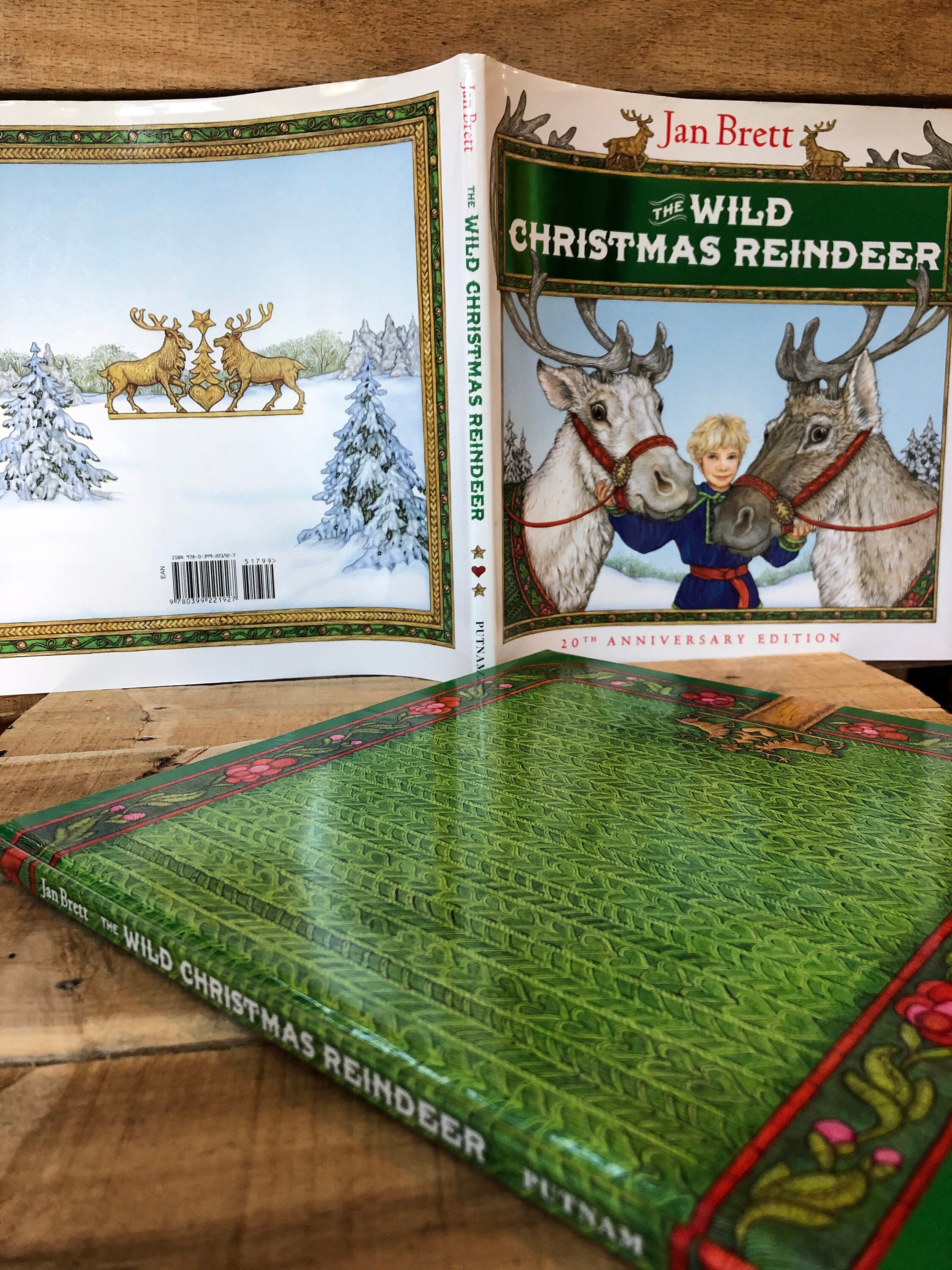 Jan Brett The Wild Christmas Reindeer: with Dust Jacket 2010 | Etsy