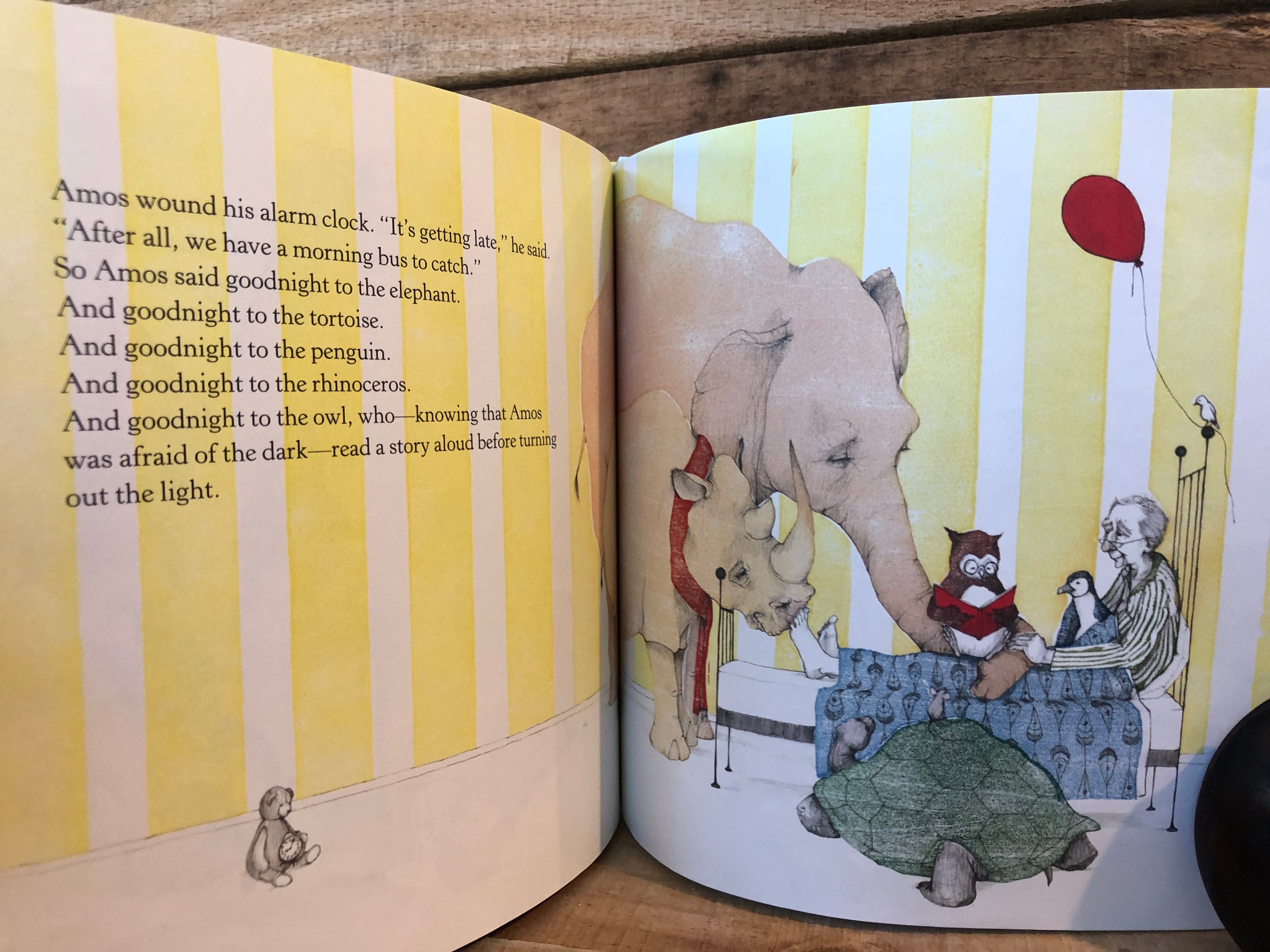 A Sick Day for Amos Mcgee by Philip C. Stead 2010 First - Etsy UK