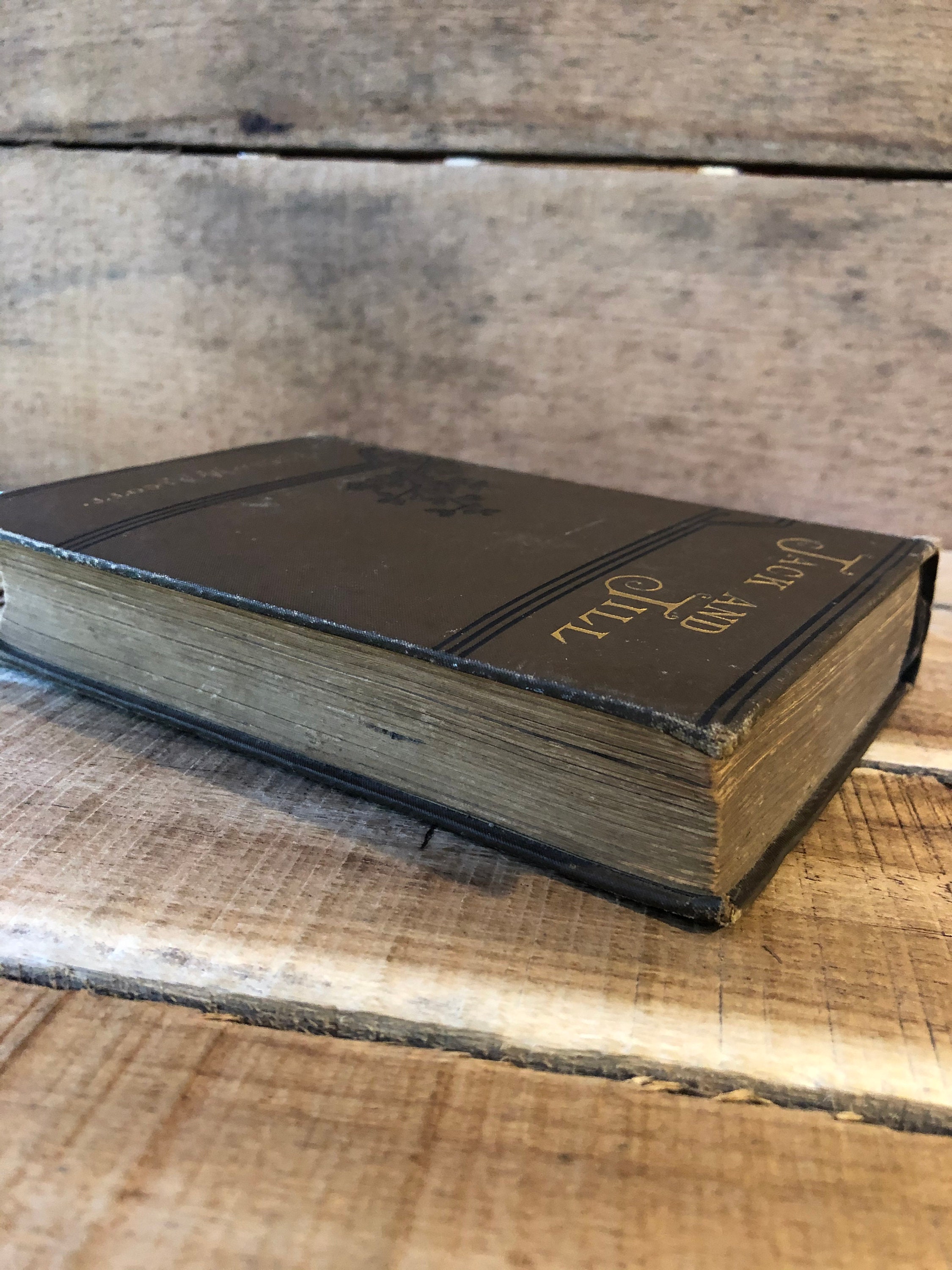 Jack and Jill, A Village Story by Louisa May Alcott: 1889 - Etsy