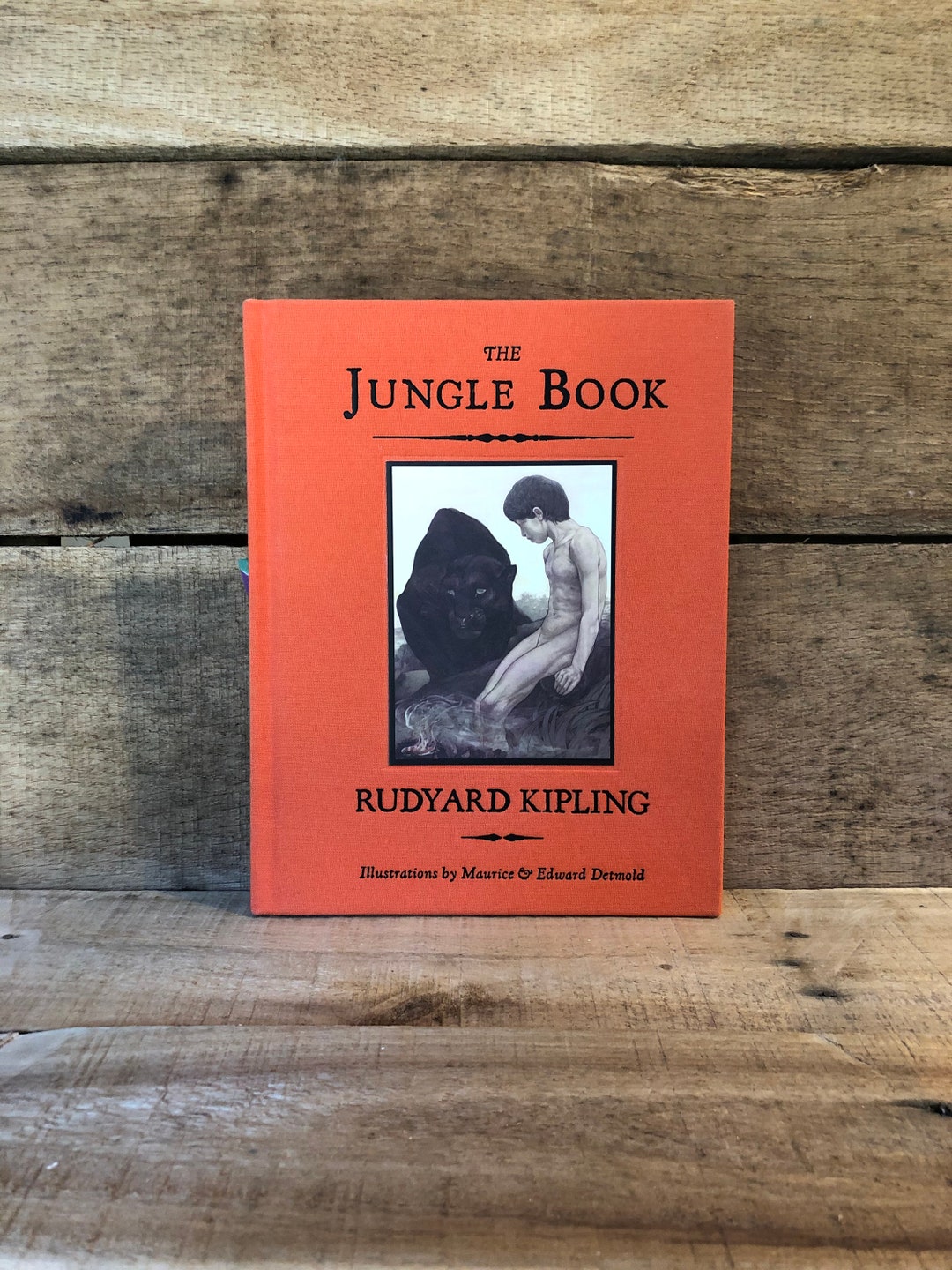 The Jungle Book by Rudyard Kipling, Illustrated by Maurice and Edward ...