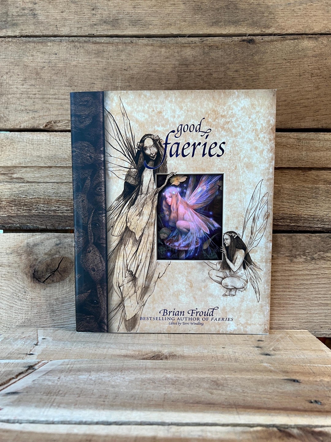 Good Faeries Bad Faeries by Brian Froud With Dust Jacket 1998 - Etsy