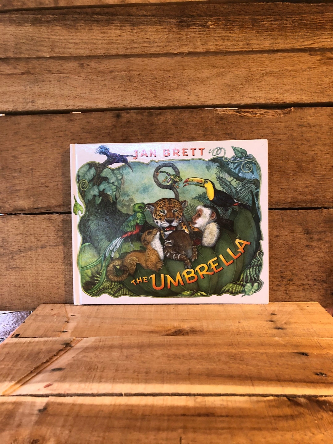 The Umbrella by Jan Brett: 2004 First Impression - Etsy