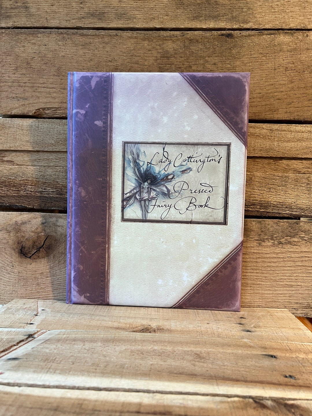 Lady Cottington's Pressed Fairy Book 1998 - Etsy