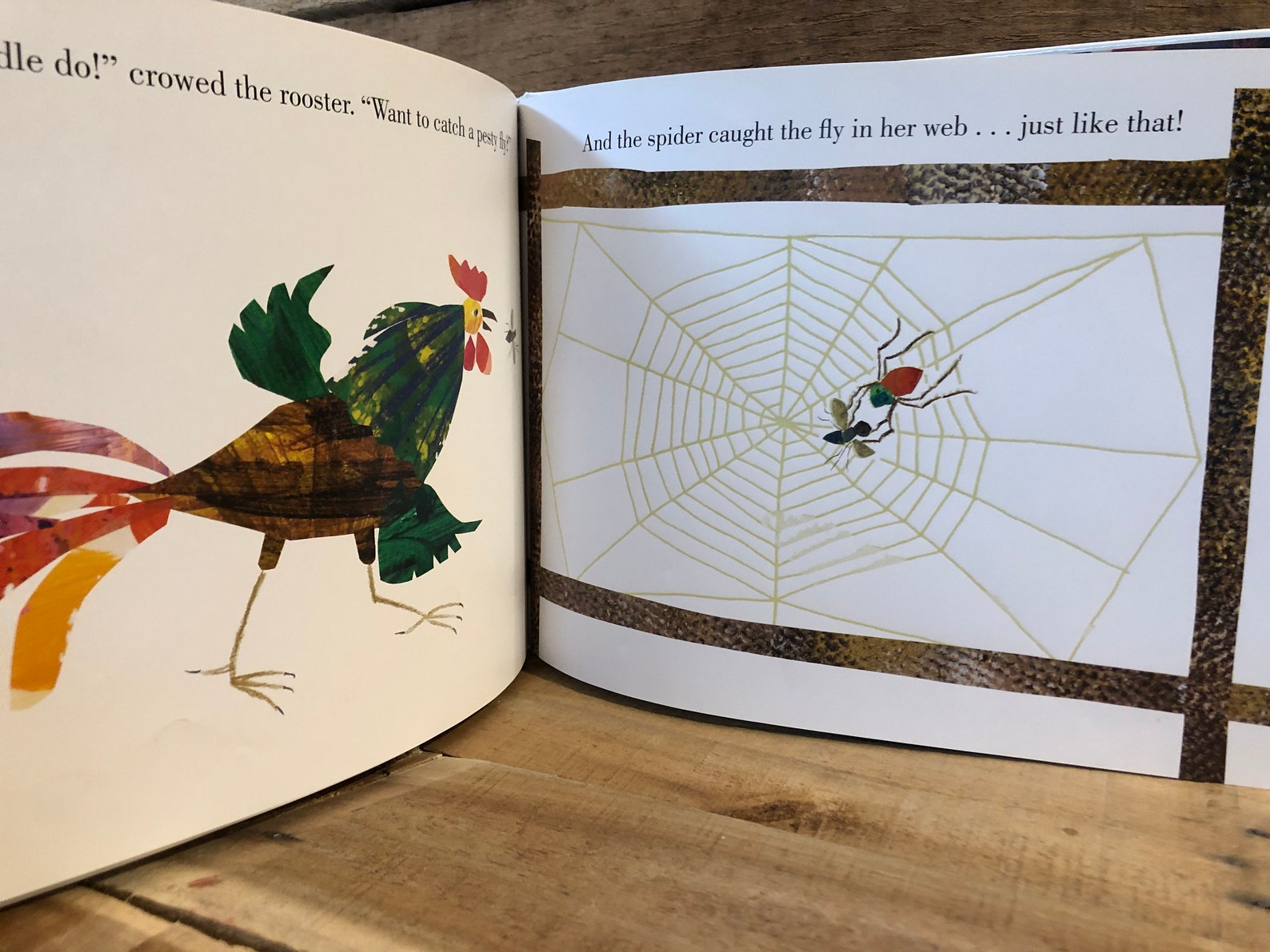 The Very Busy Spider by Eric Carle: Collector's Edition | Etsy New Zealand