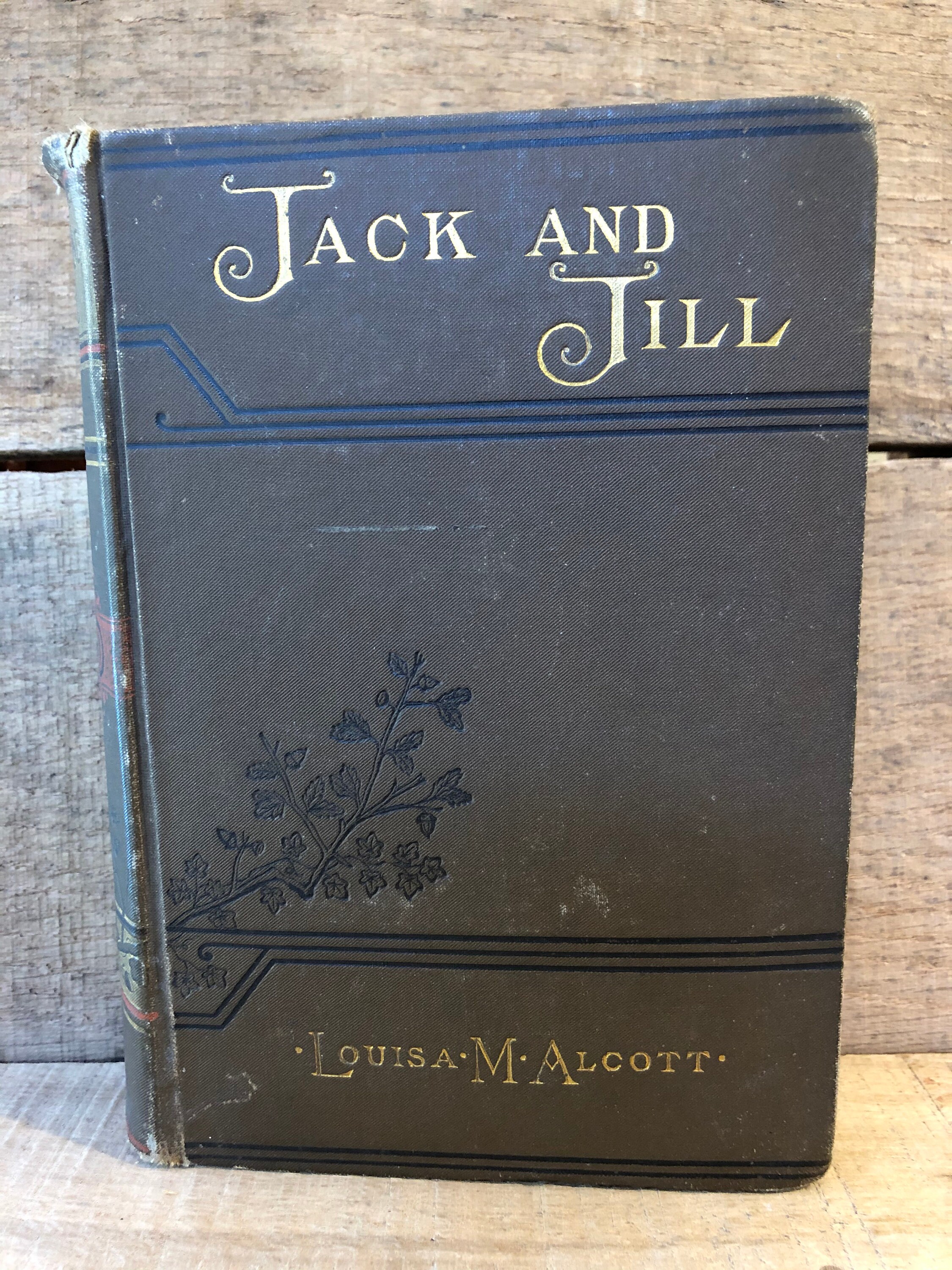 Jack and Jill, A Village Story by Louisa May Alcott: 1889 - Etsy