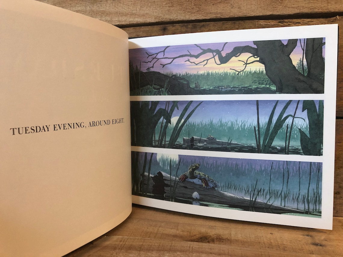 Tuesday by David Wiesner: with Dust Jacket 1991 | Etsy