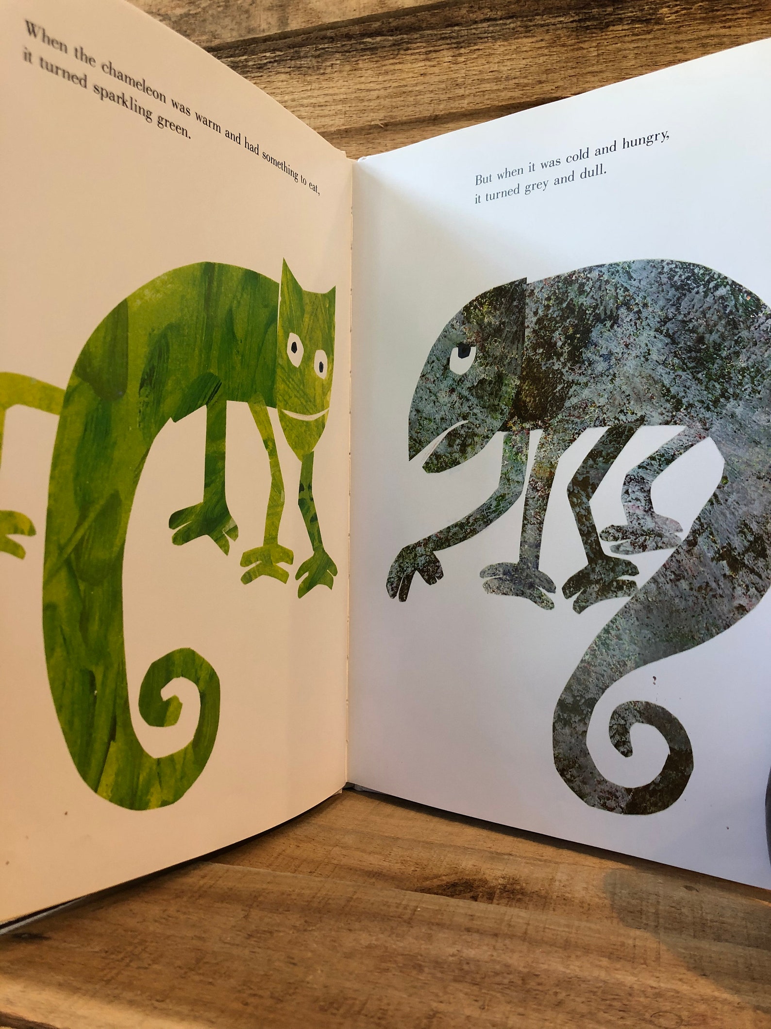 The Mixed-up Chameleon by Eric Carle: With Dust Jacket - Etsy