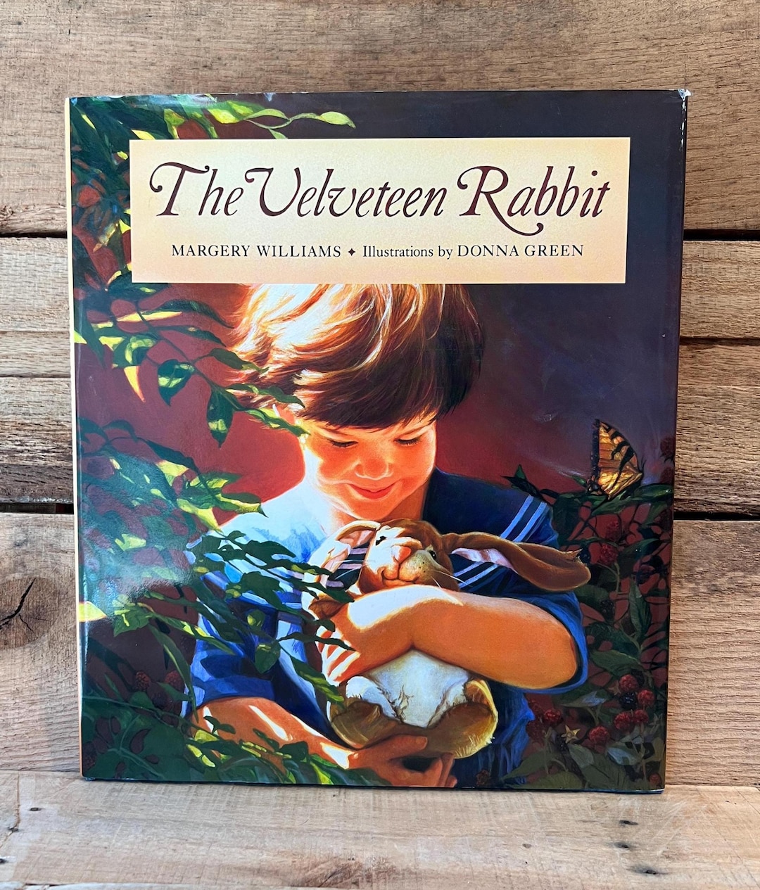 The Velveteen Rabbit by Margery Williams, Illustrated by Donna Green ...