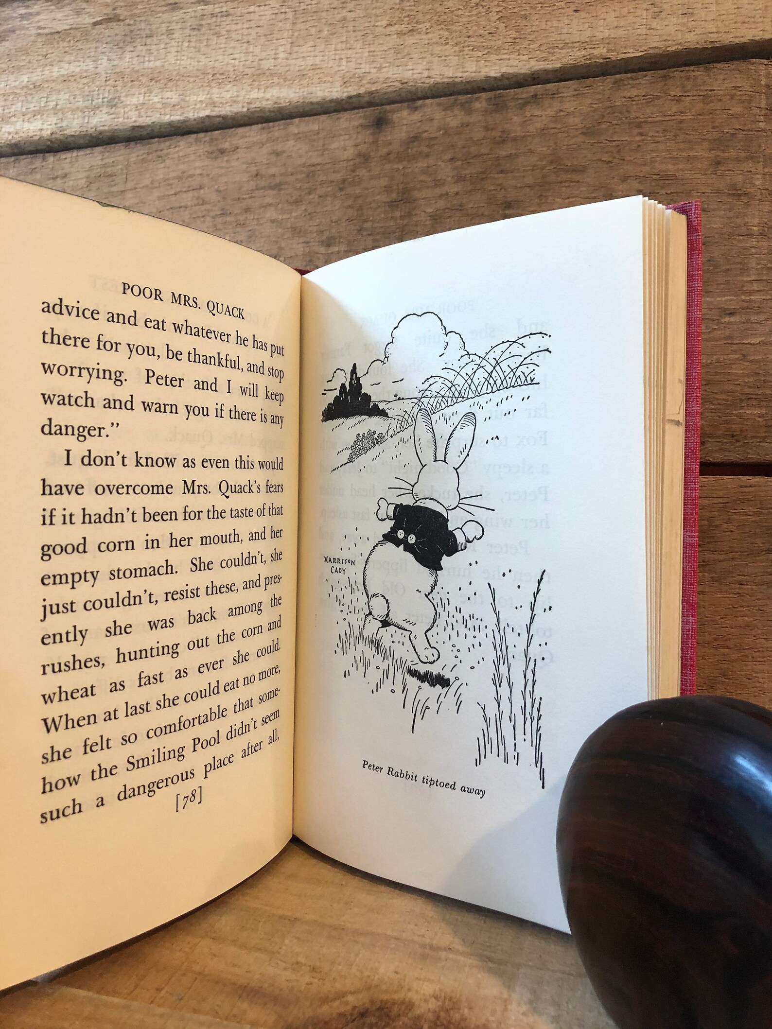 The Adventures of Poor Mrs. Quack Bedtime Story Books: with | Etsy