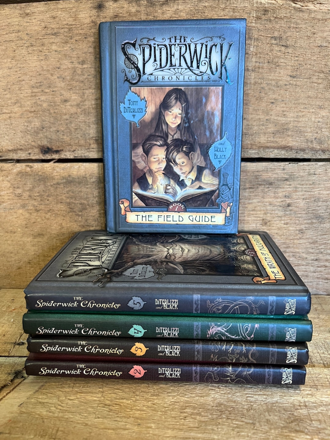 The Spiderwick Chronicles Books by Tony Diterlizzi, Set of Five Books ...