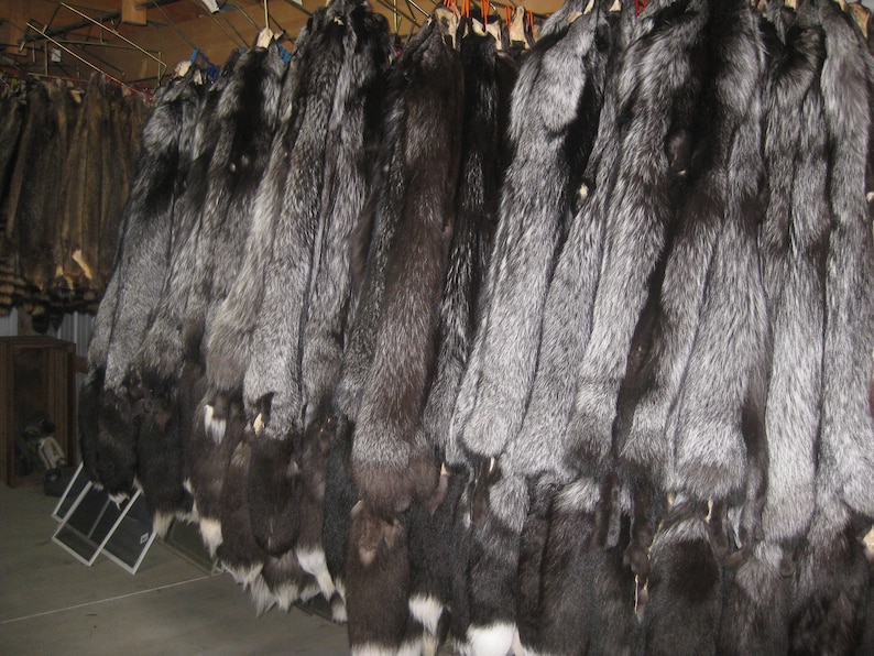 Tanned Silver Fox Hides - Etsy