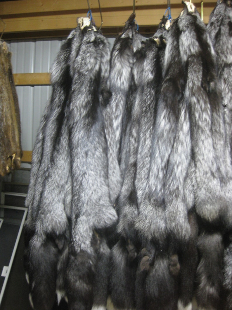 Tanned Silver Fox Hides - Etsy