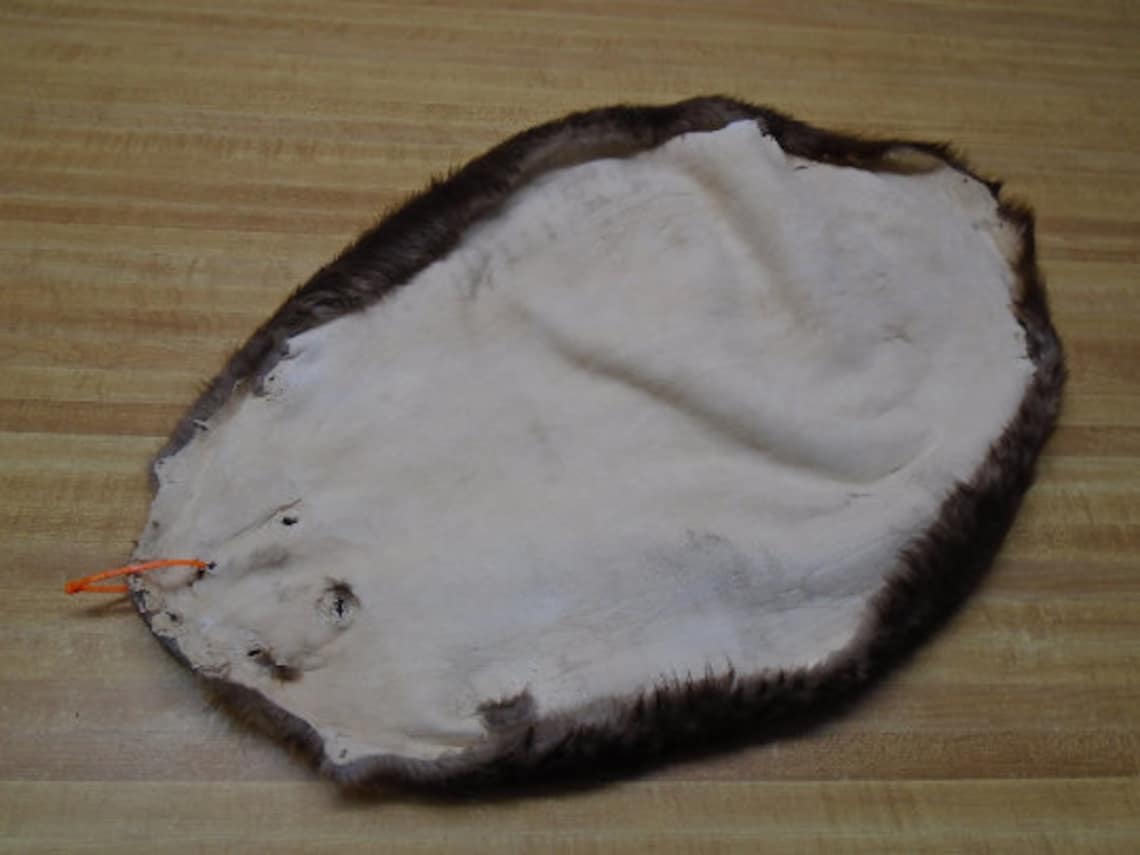 Tanned Beaver canadian Hides / Pelts - Etsy
