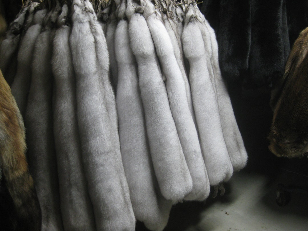 Tanned Blue Fox Hides, Pelts, #1 Quality, Just in From Norway, These Do ...