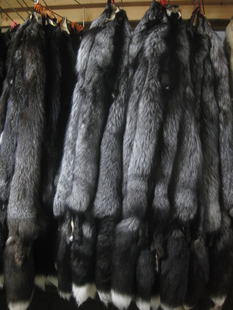 Tanned Silver Fox Hides - Etsy