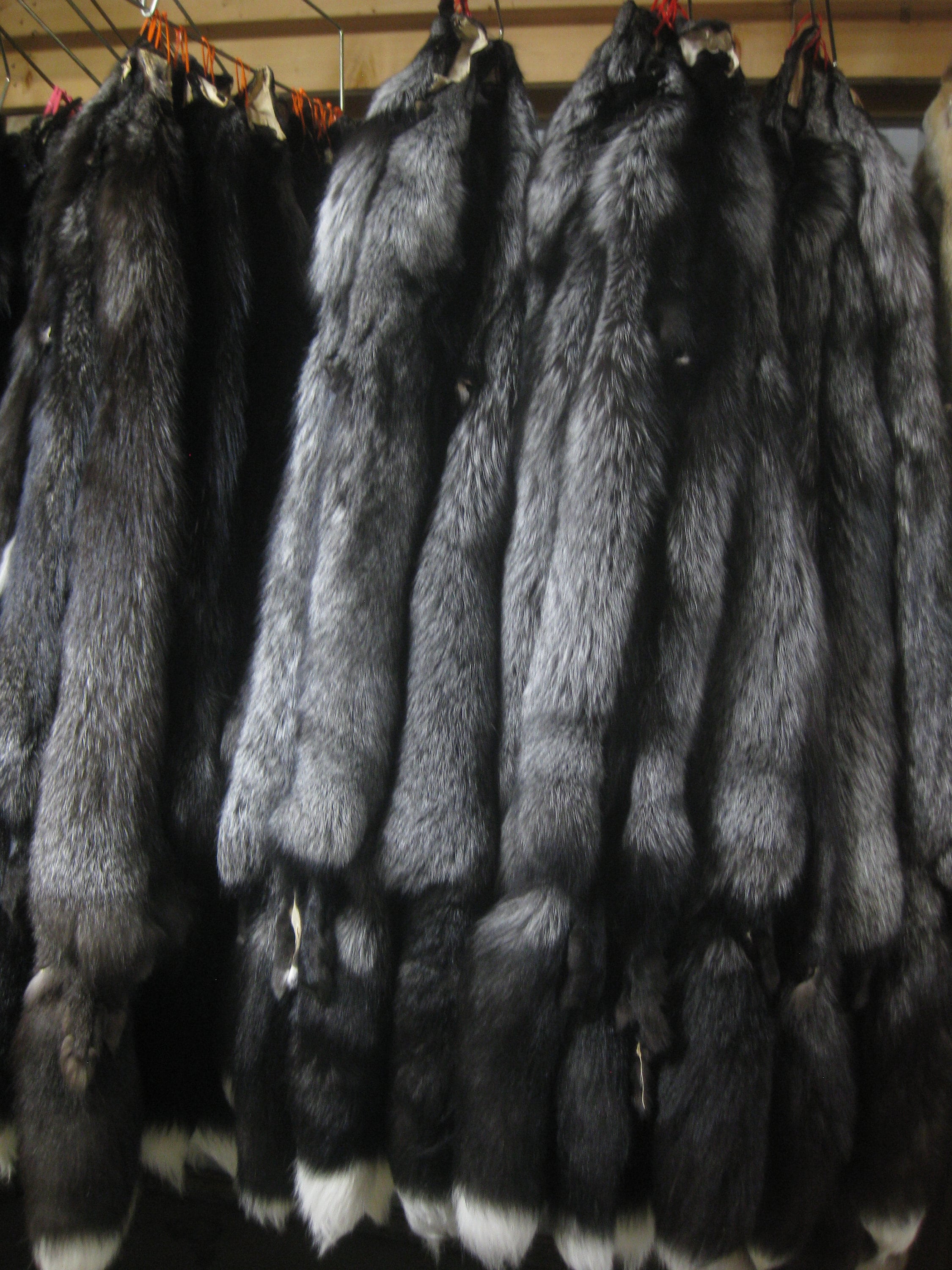 Tanned Silver Fox Hides - Etsy
